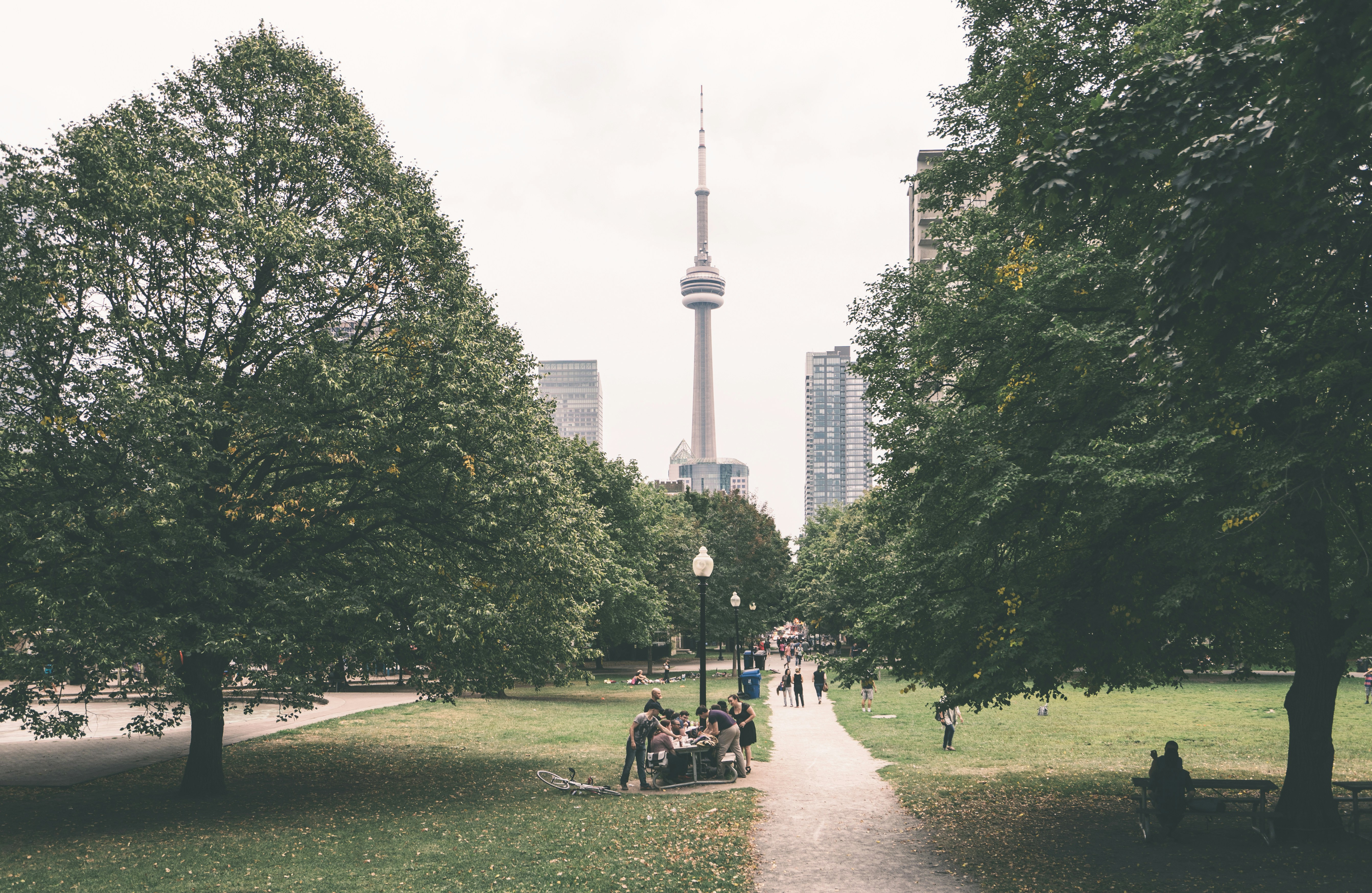 Pathway through a park with lush trees leading to a city skyline featuring a prominent tower.