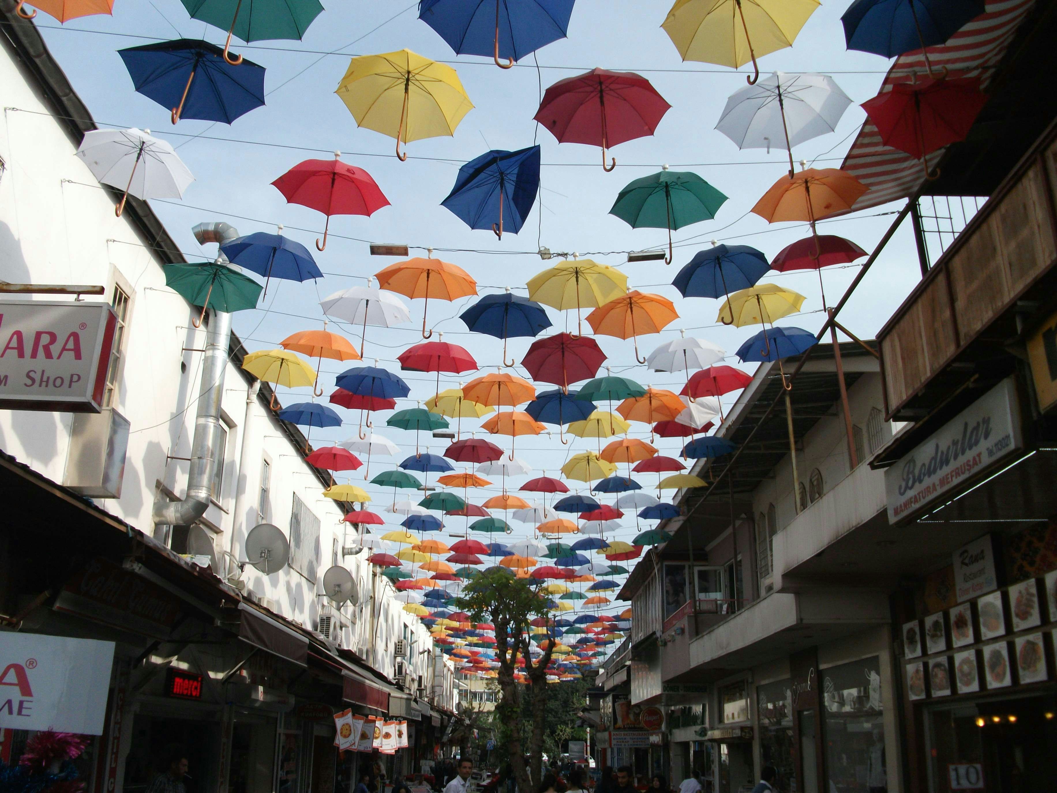 Dieter Schäfer (@dieterschaefer) | Comunidad de fotos de Unsplash