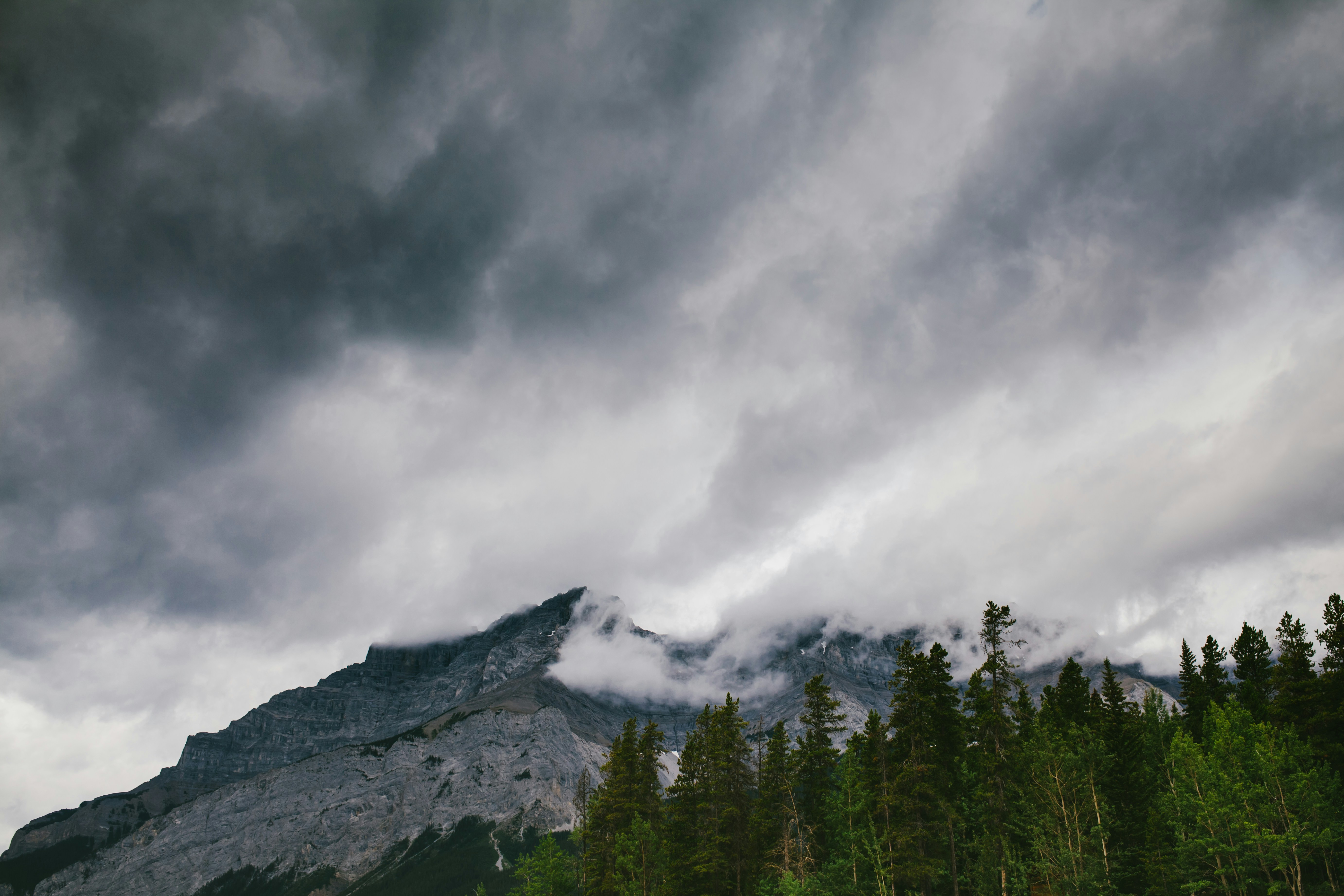 Dramatic mountain landscape with dense clouds rolling over rugged peaks, framed by a lush forest at the base.