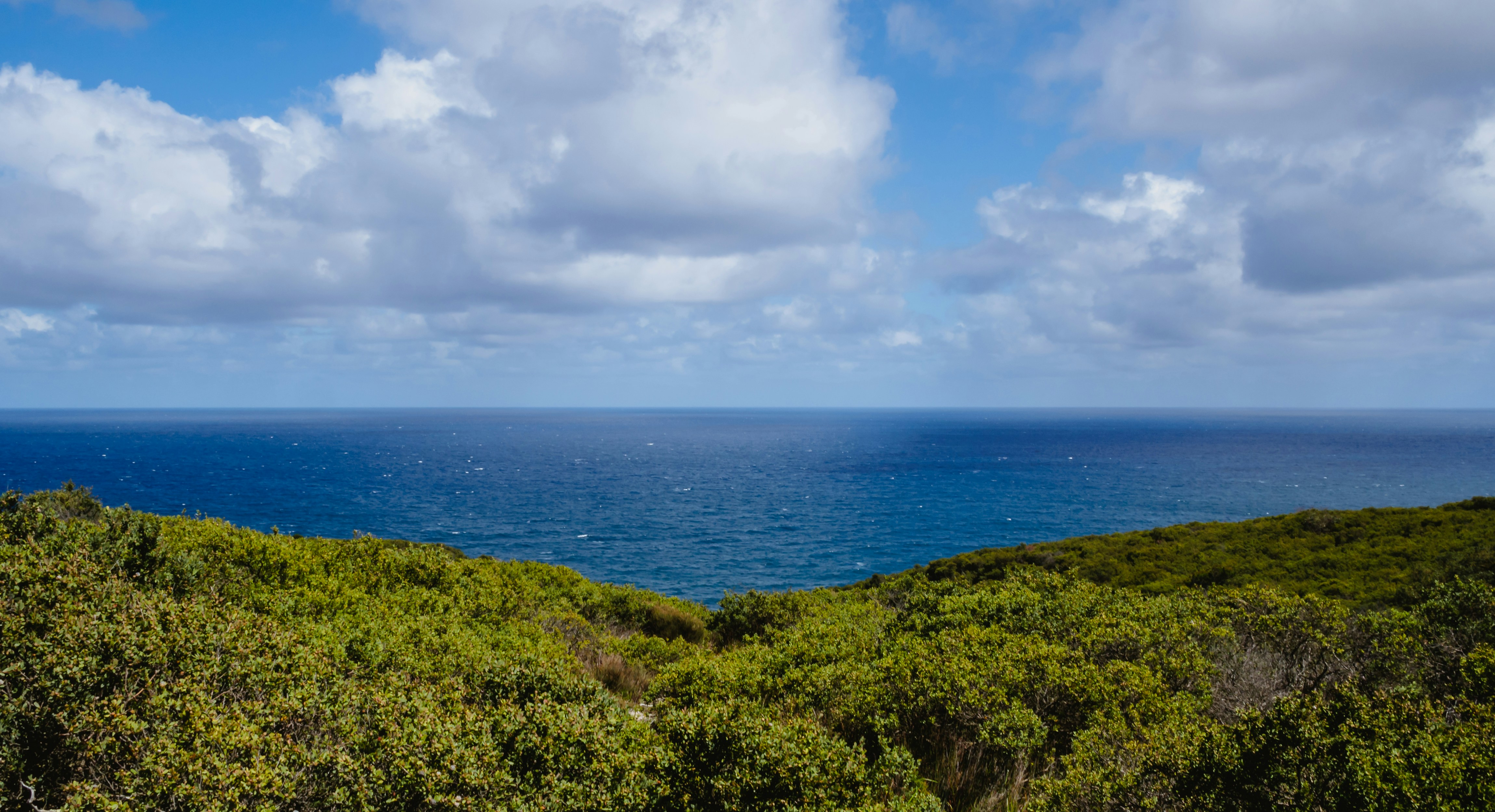 Lush green shrubs border the deep blue ocean under a partly cloudy sky.
