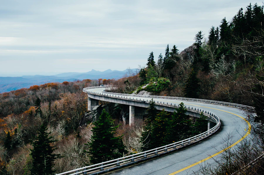 A curving mountain roadway sweeps past forested slopes and distant blue ridges under a pale sky. Guardrails and the elevated bend lead the eye through the landscape.