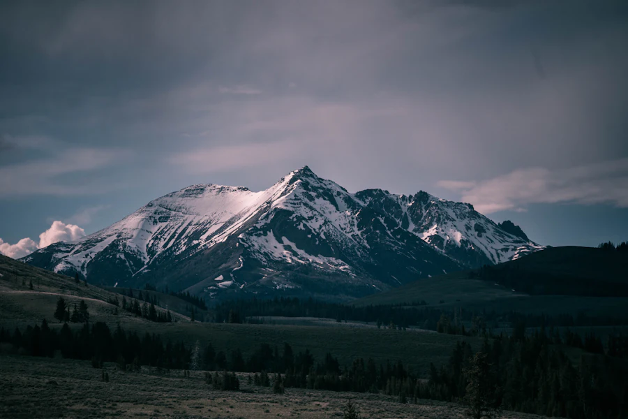 Snow-capped mountain ridge rising above a shadowed valley under a cool, overcast sky. Sparse trees and rolling foreground hills lead toward the central peak.