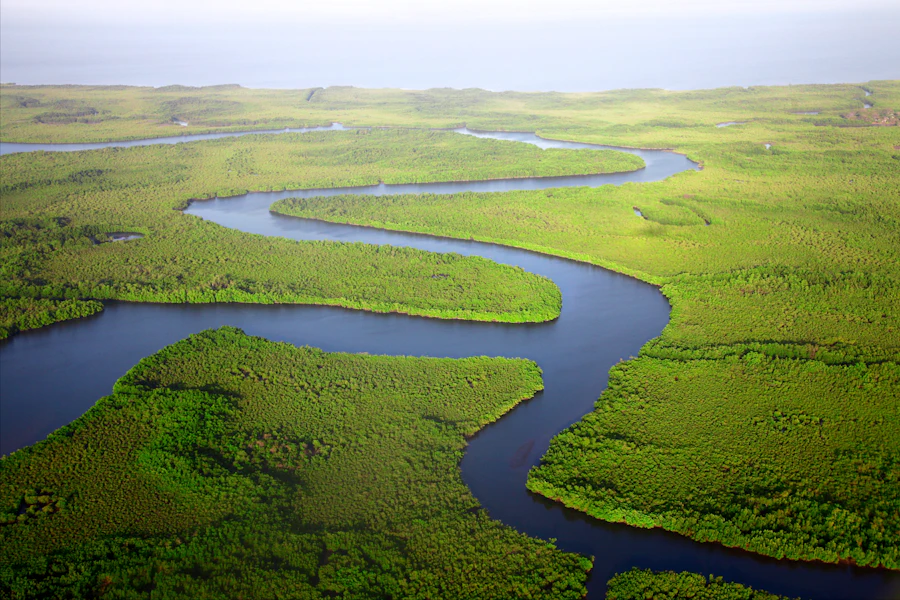 A broad, winding river snakes through lush green wetlands beneath a pale horizon. The scene feels expansive and serene, with layered waterways cutting across the landscape.