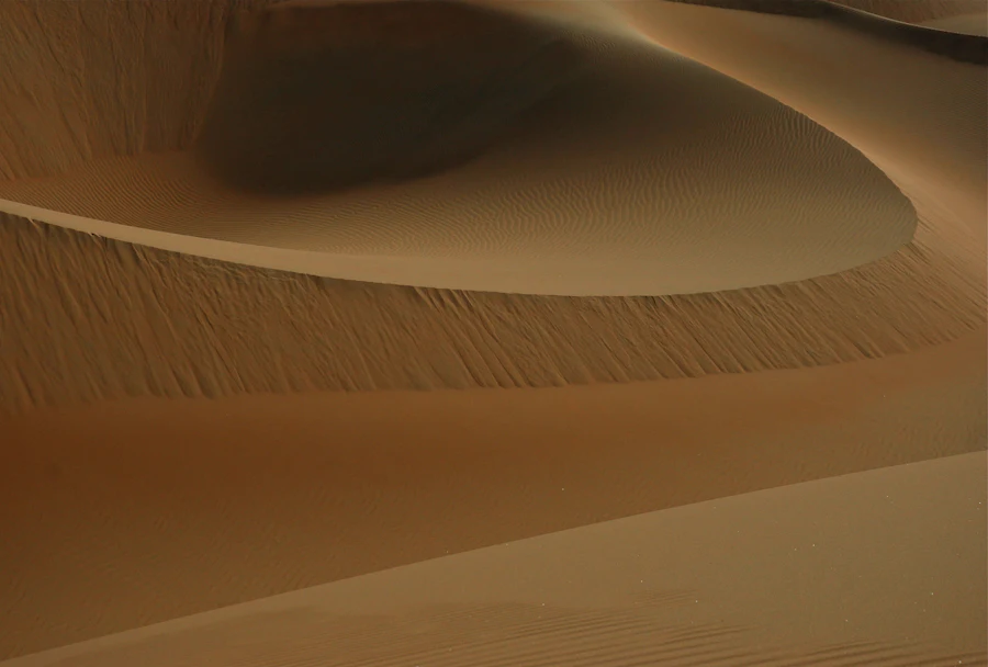 Curving sand dunes with wind-rippled textures and warm golden-brown tones. Soft light creates smooth highlights and deep shadows across the landscape.