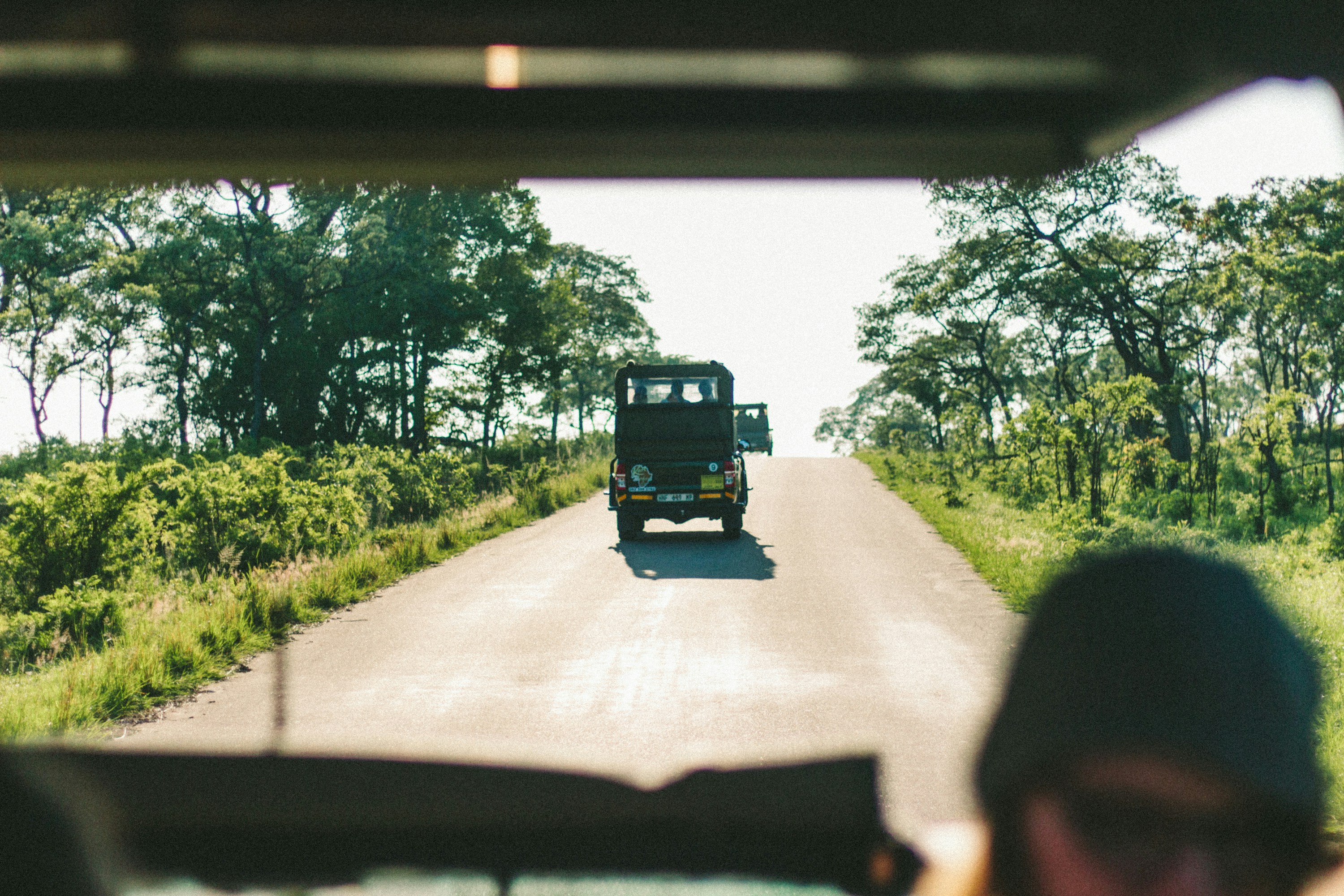 A vibrant three-wheeled vehicle navigates a sunlit road flanked by lush greenery, hinting at adventure ahead.