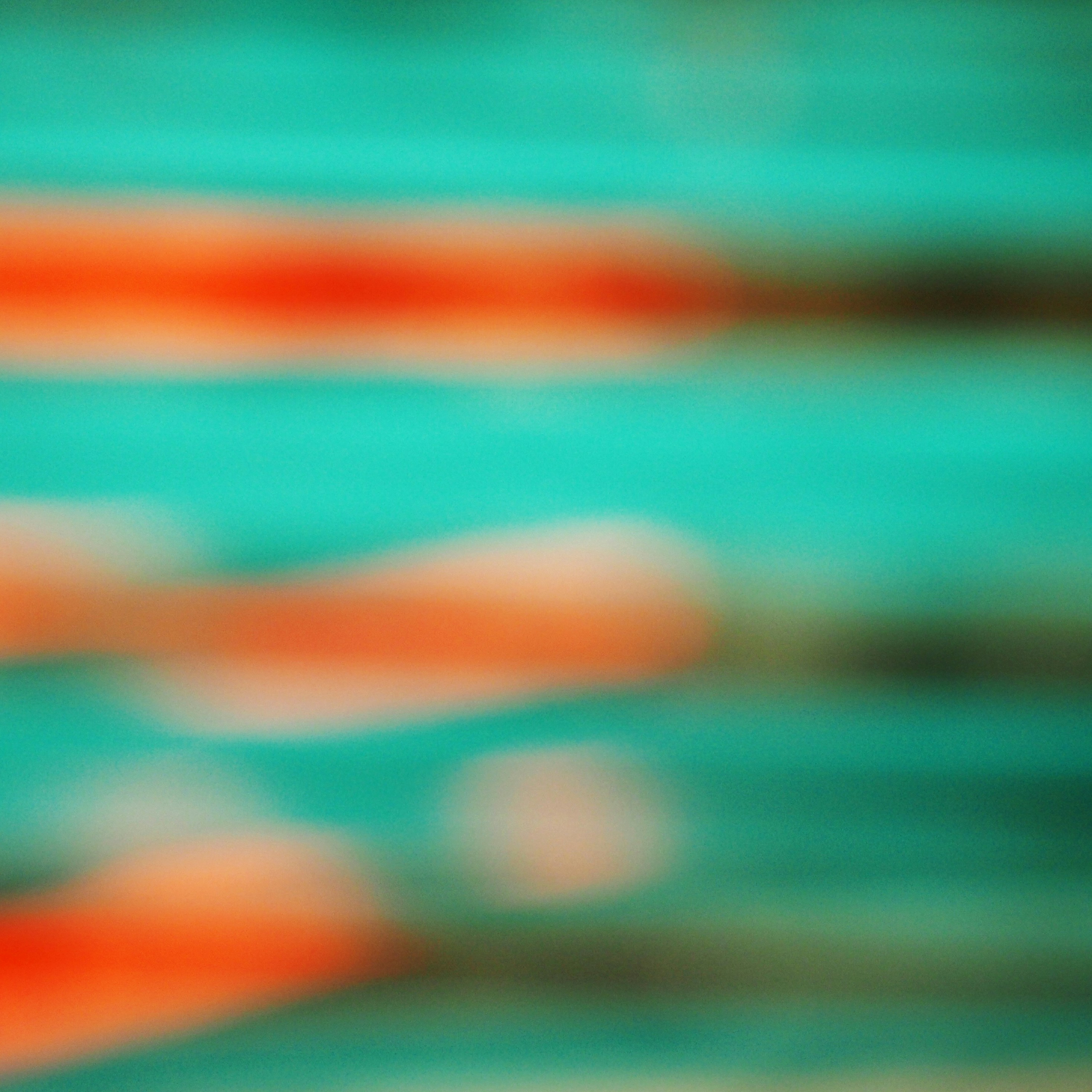 Rowan Heuvel | Unsplash