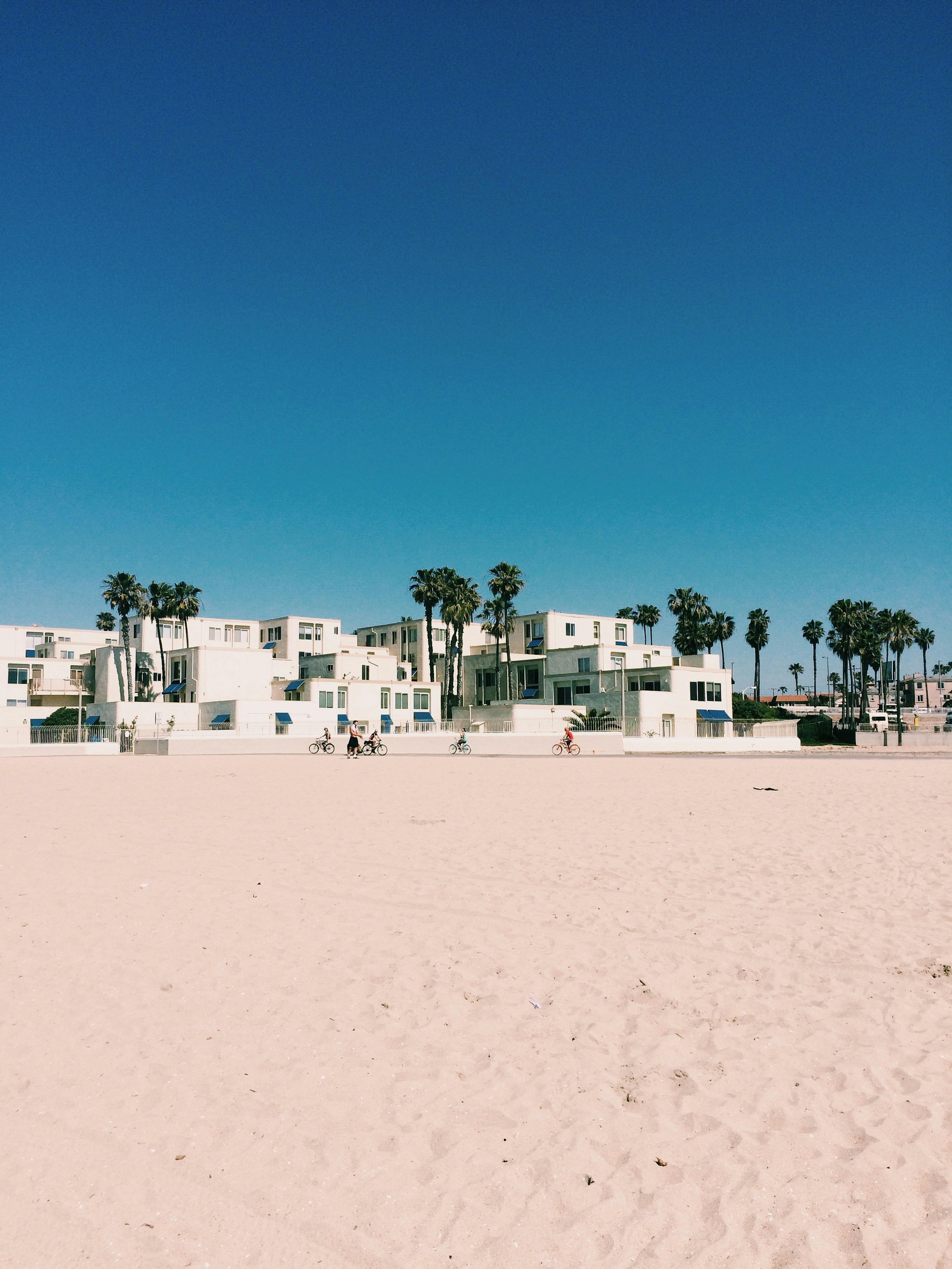 Modern beachside residences framed by palm trees against a clear blue sky. Cyclists enjoy the sandy shore.