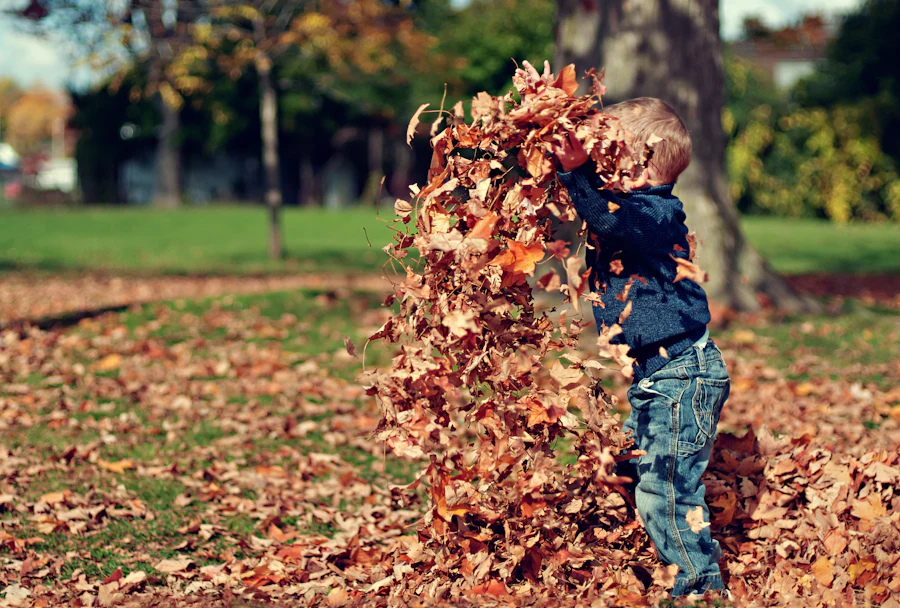 Young child in jeans and a dark sweater throwing a burst of autumn leaves in a park. Fallen leaves carpet the ground with trees blurred in the background.
