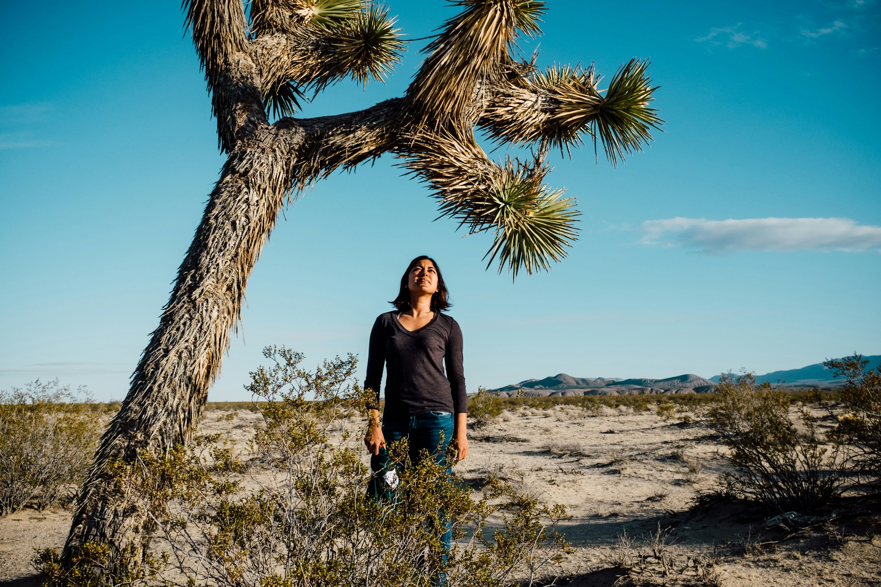 Woman standing in a vast desert landscape, gazing upward at a towering Joshua tree. The scene reflects a serene connection with nature.