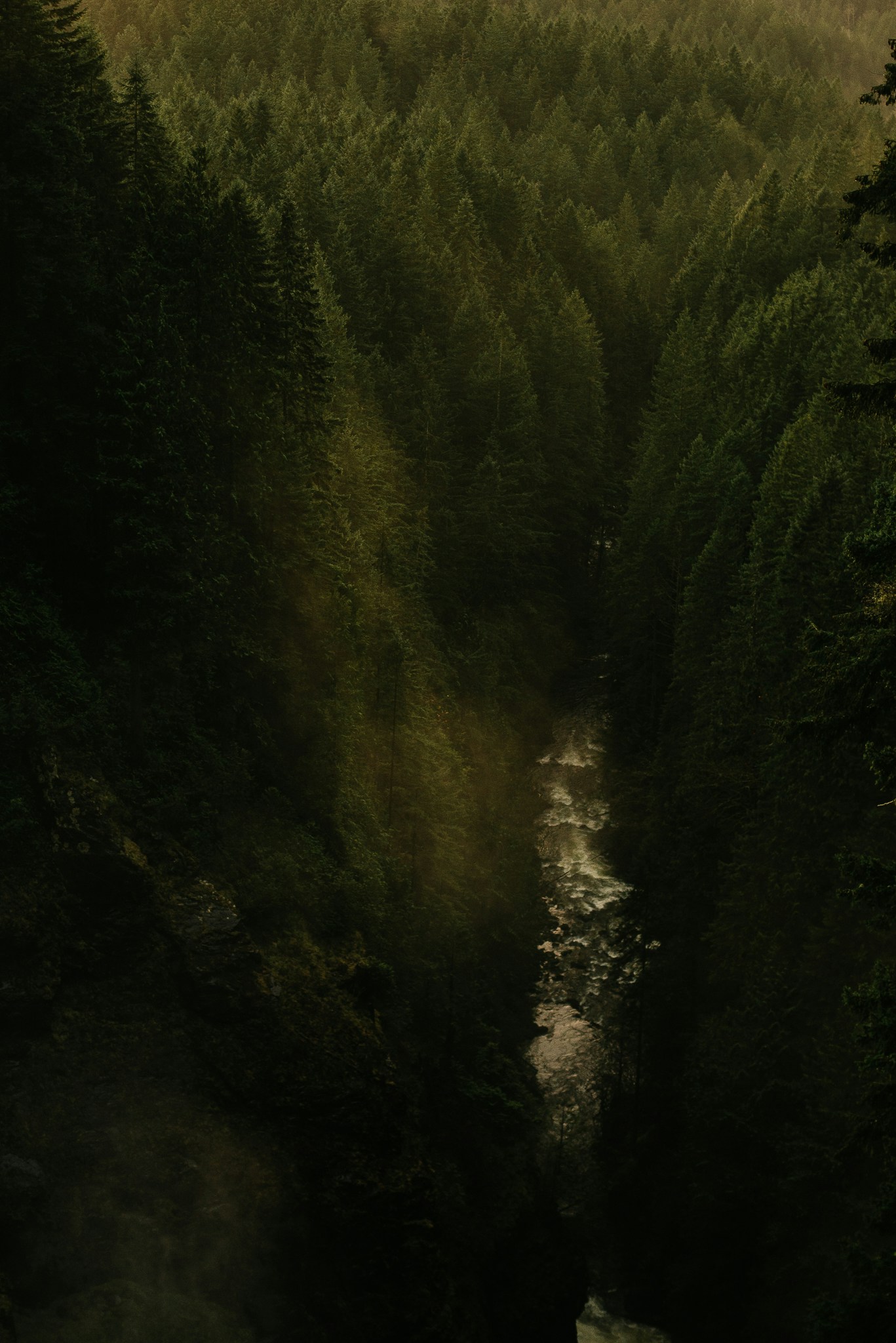 Jake Campbell Alesana