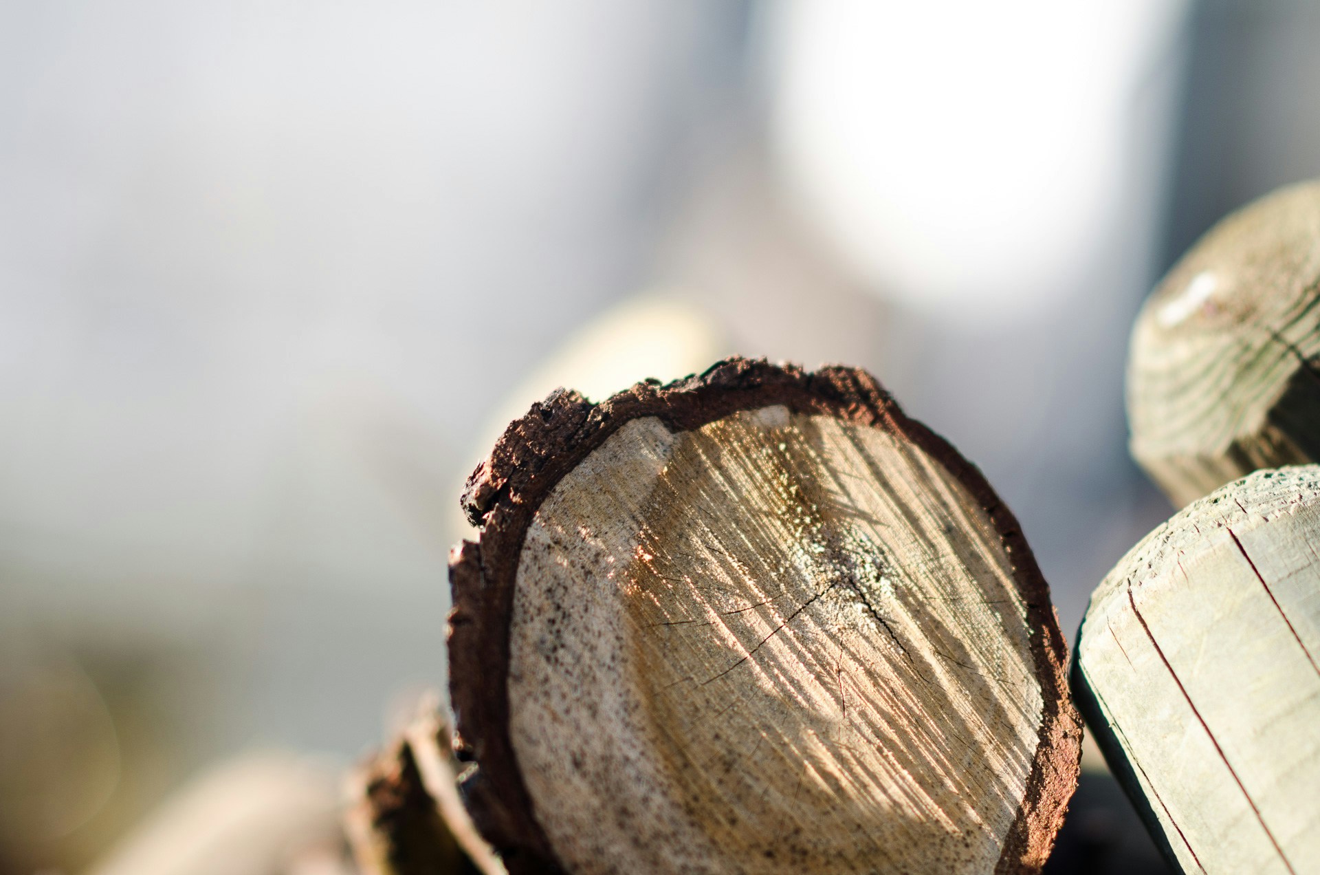 Tim Kohlen (@timkohlen) | Comunidade de fotos da Unsplash