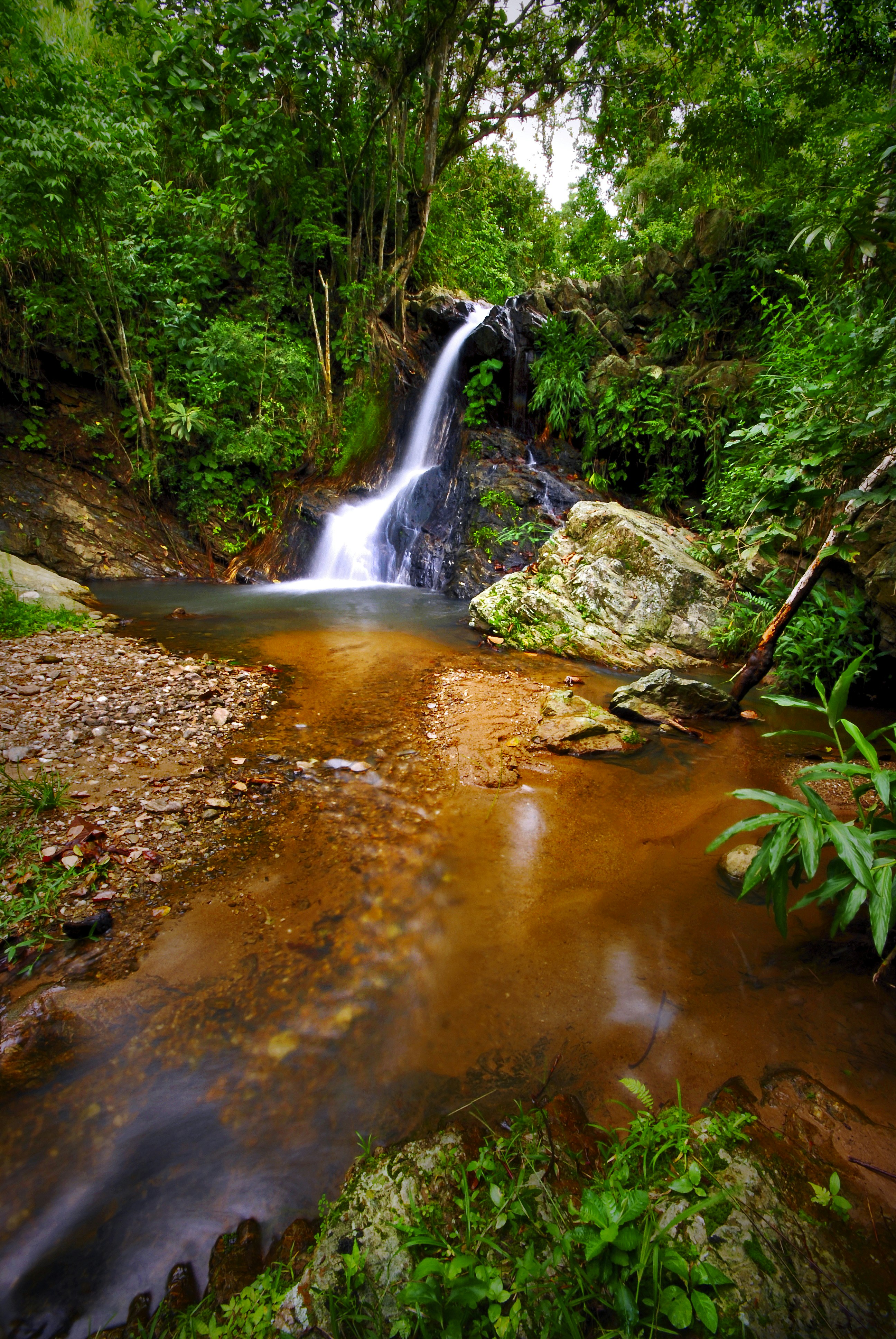 Serenity in the Jungle CascadeJaime Serrano