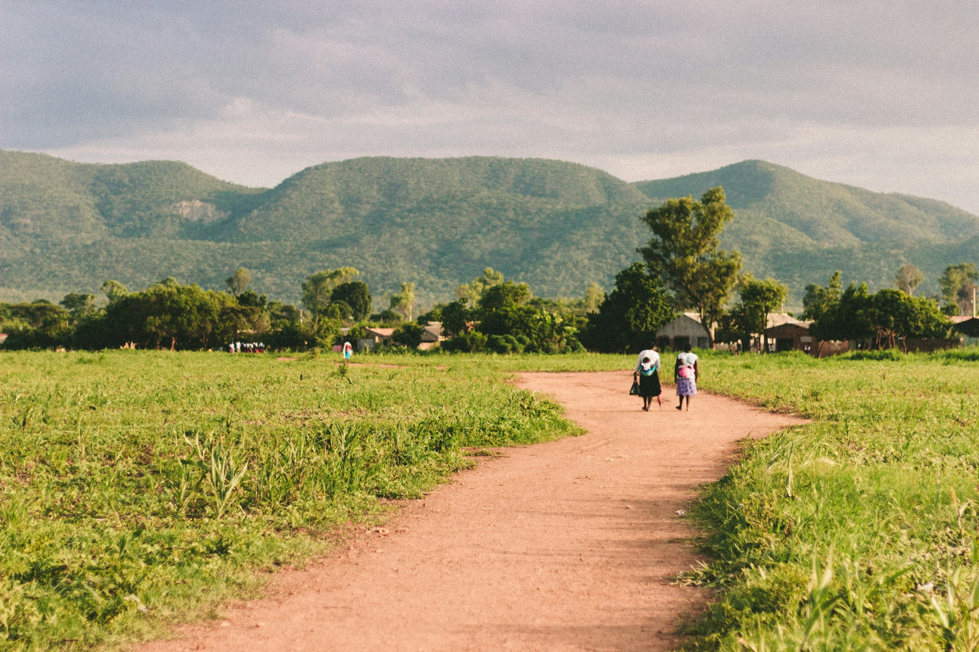 Africa | 4 best free africa, south africa, zimbabwe and grass photos on ...