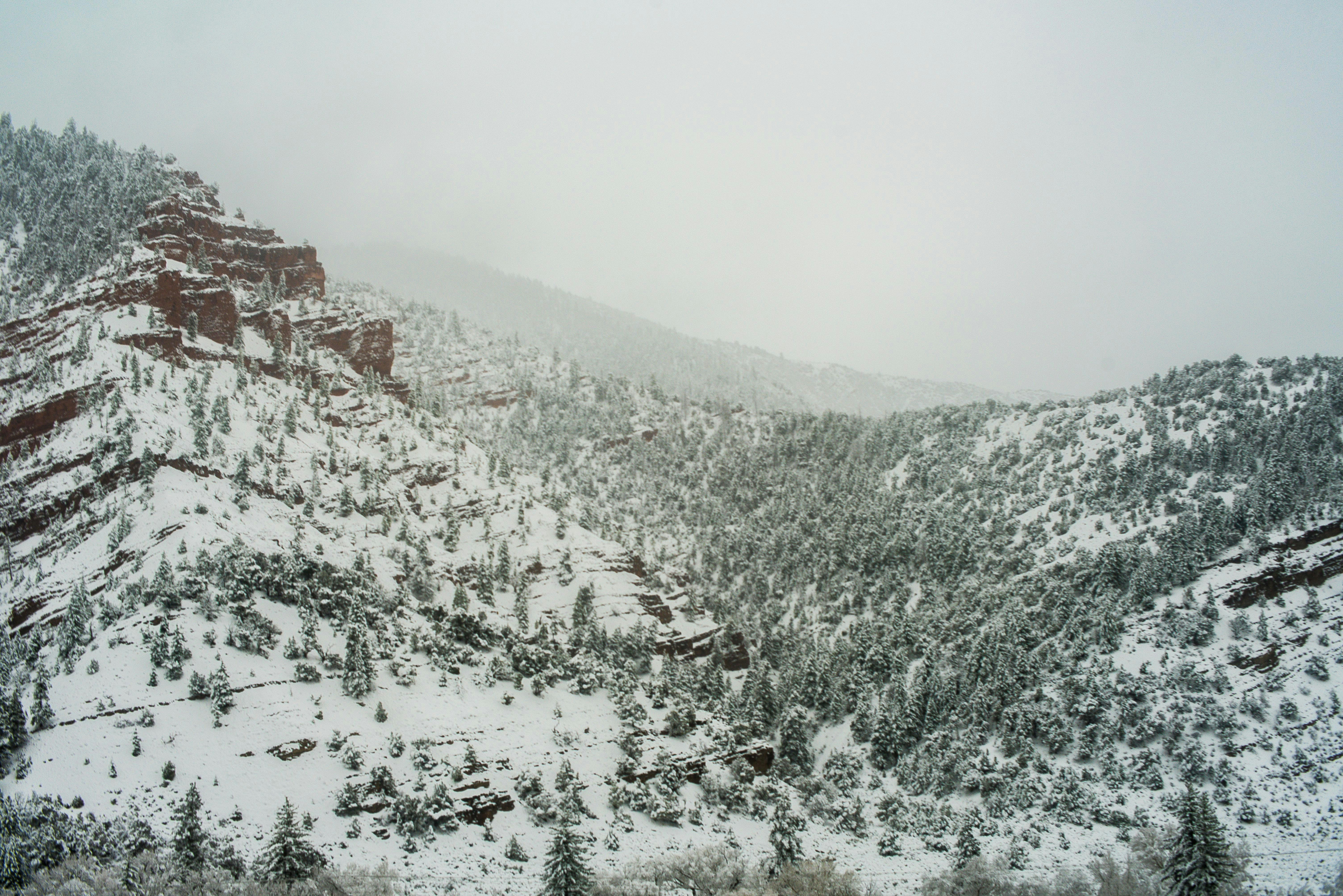 Snow-covered red rock formations rise above a frosted forest, creating a serene winter landscape.