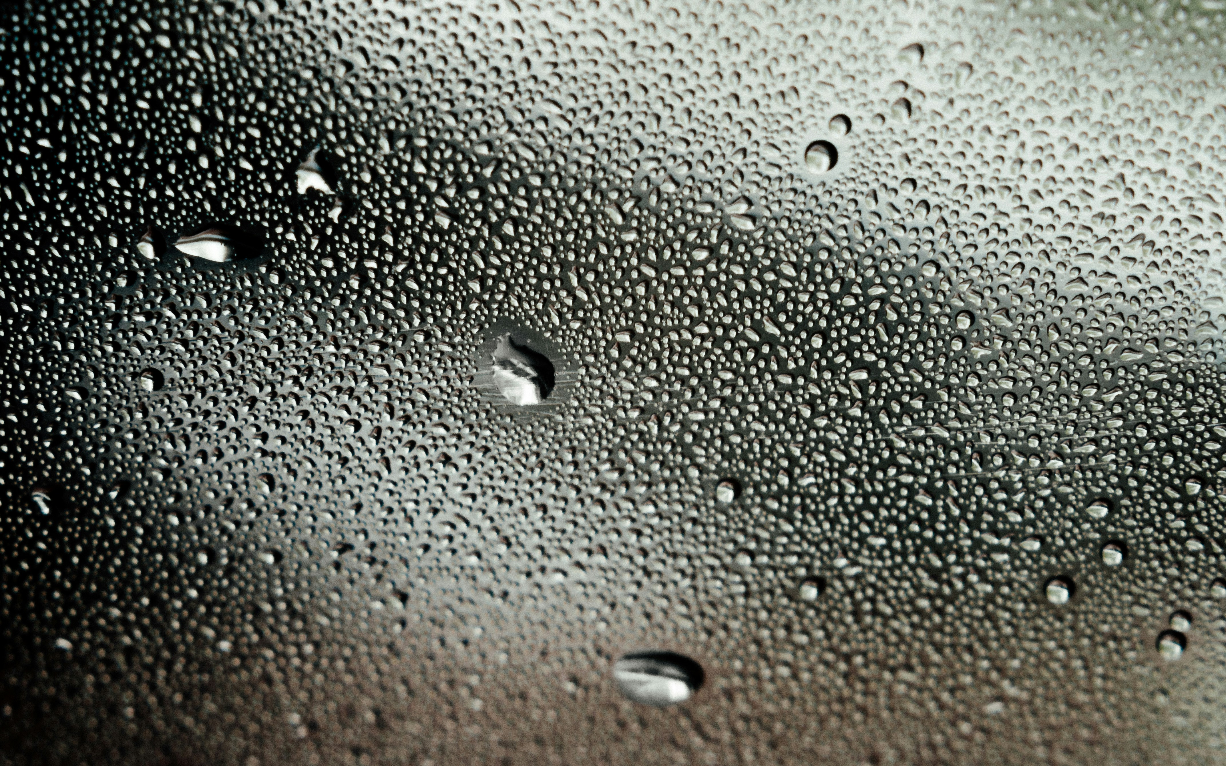 Rain | 10 best free rain, drop, wet and raining photos on Unsplash