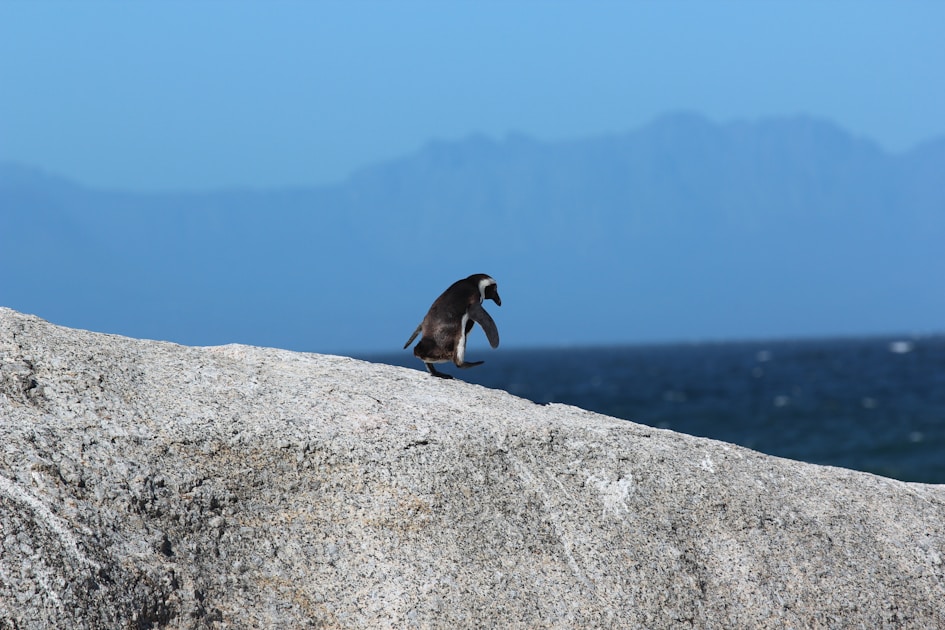 Commitment And Consistency Bias: Revealing Why You Rarely Change | brainslow