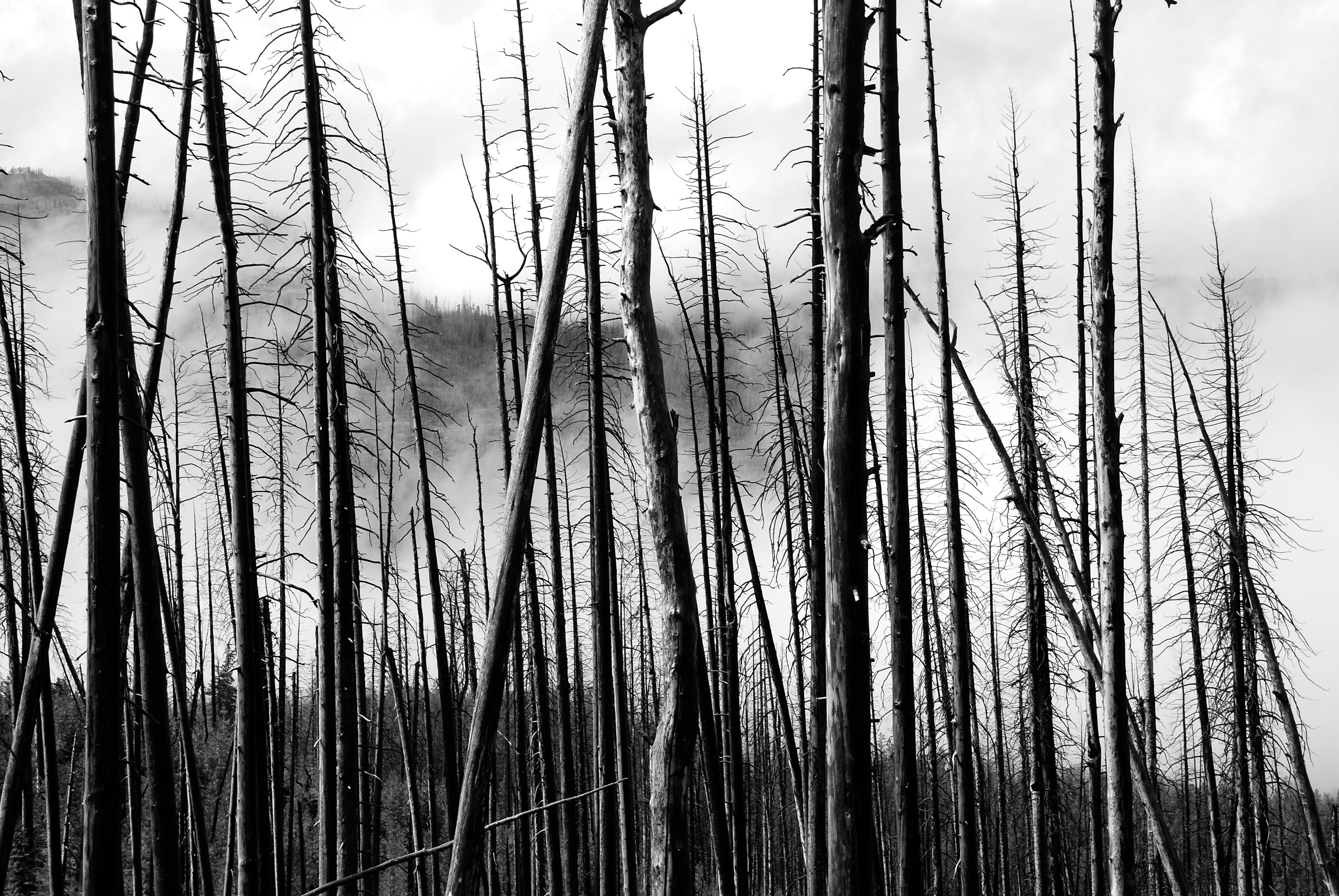 Amy Hanley (@a_hanley) | Unsplash Photo Community