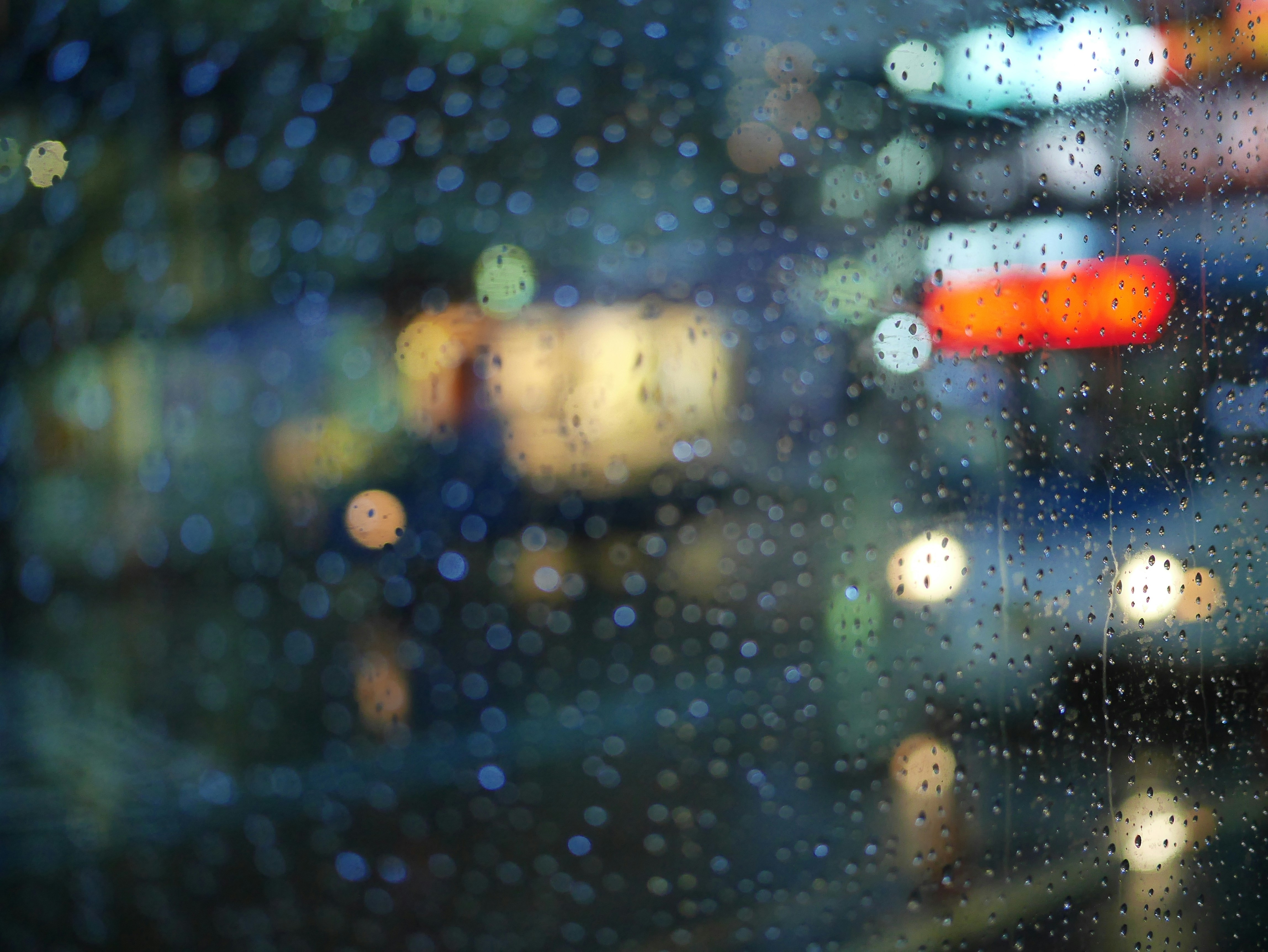 Raindrops and Neon Glow: Urban Evening HarmonySam Shin