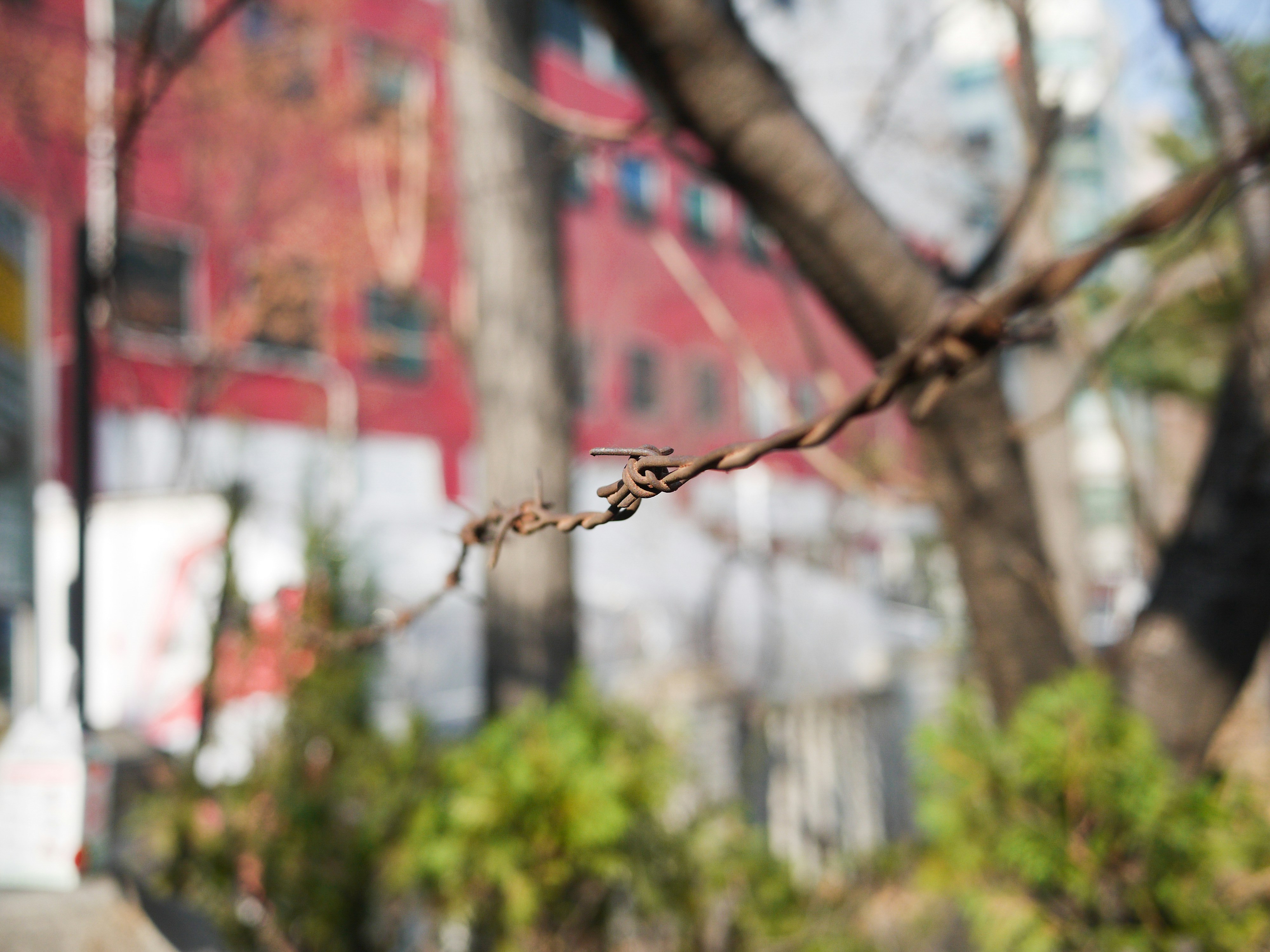 Urban Focus: Twisted Wire in Vibrant CityscapeSam Shin