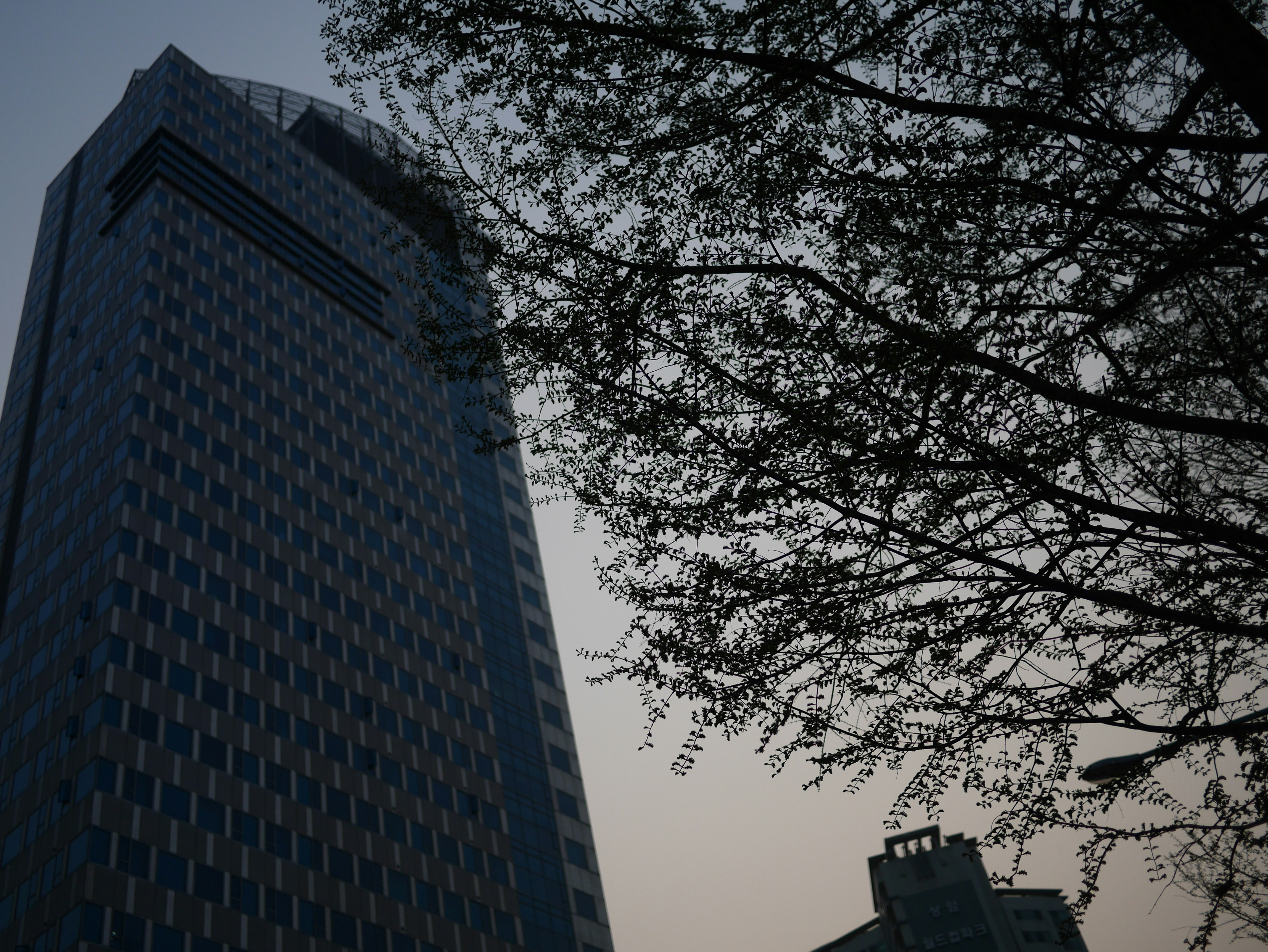 Urban Silhouette at DuskSam Shin