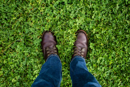 Grounded in Nature: A Step Towards Serenity