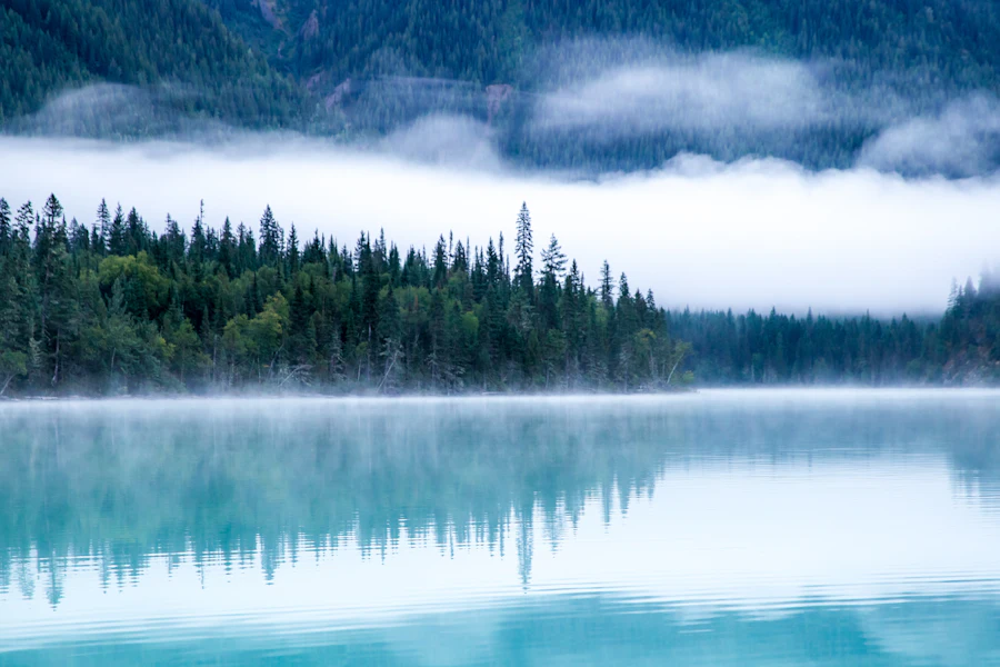 Dense evergreen forest rises behind a low band of fog, reflected in a calm turquoise lake. Mist softens the layered mountain backdrop.