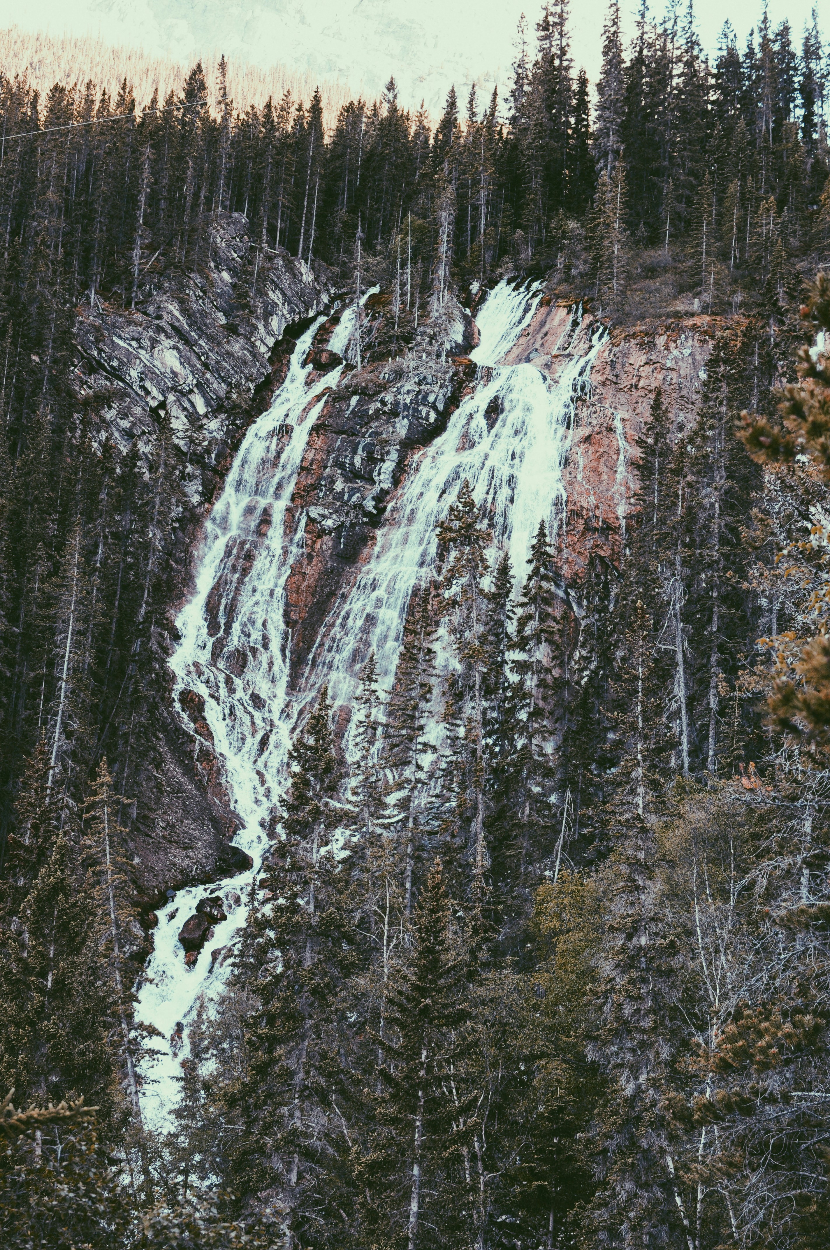 Waterfall cascading down rocky cliffs surrounded by dense evergreen forest.