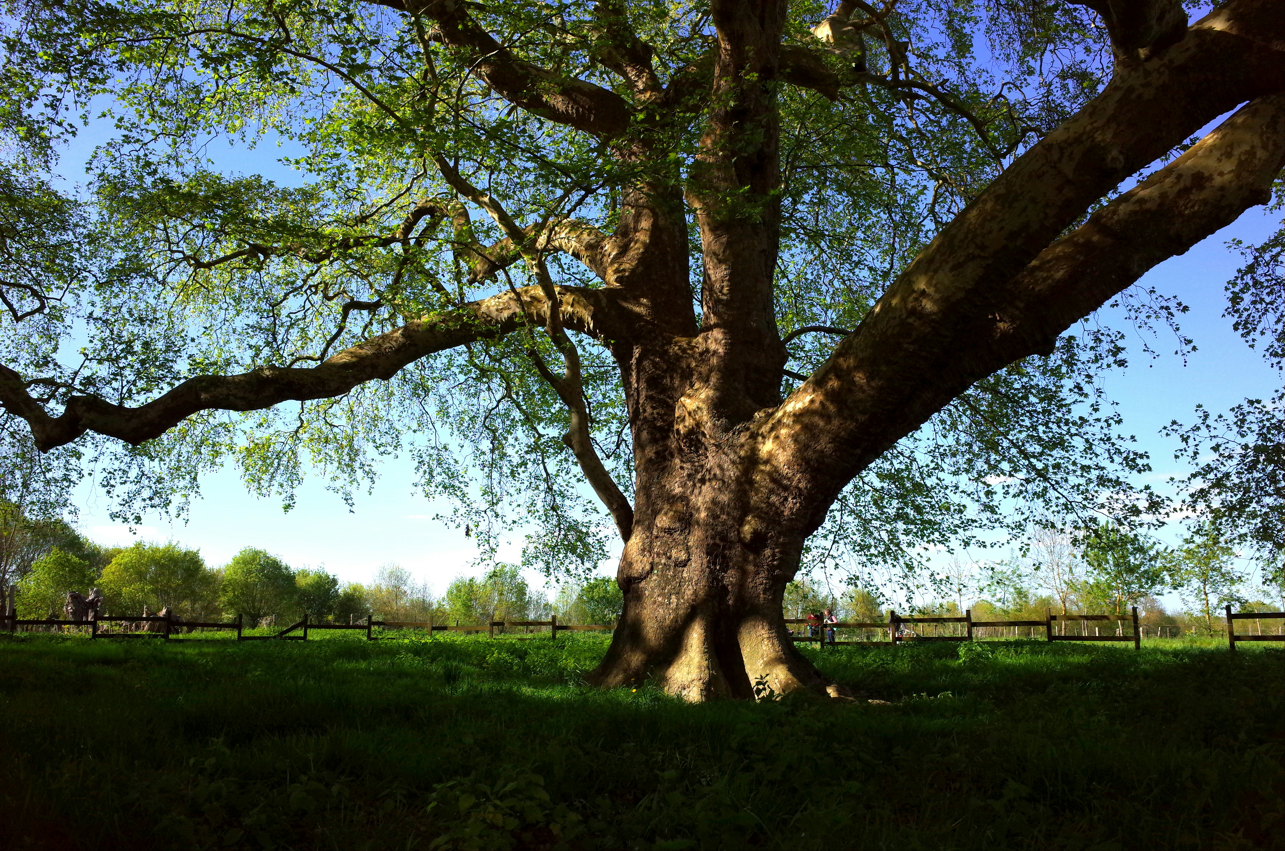 Remy Baudouin (@philmouss) | Comunidad de fotos de Unsplash