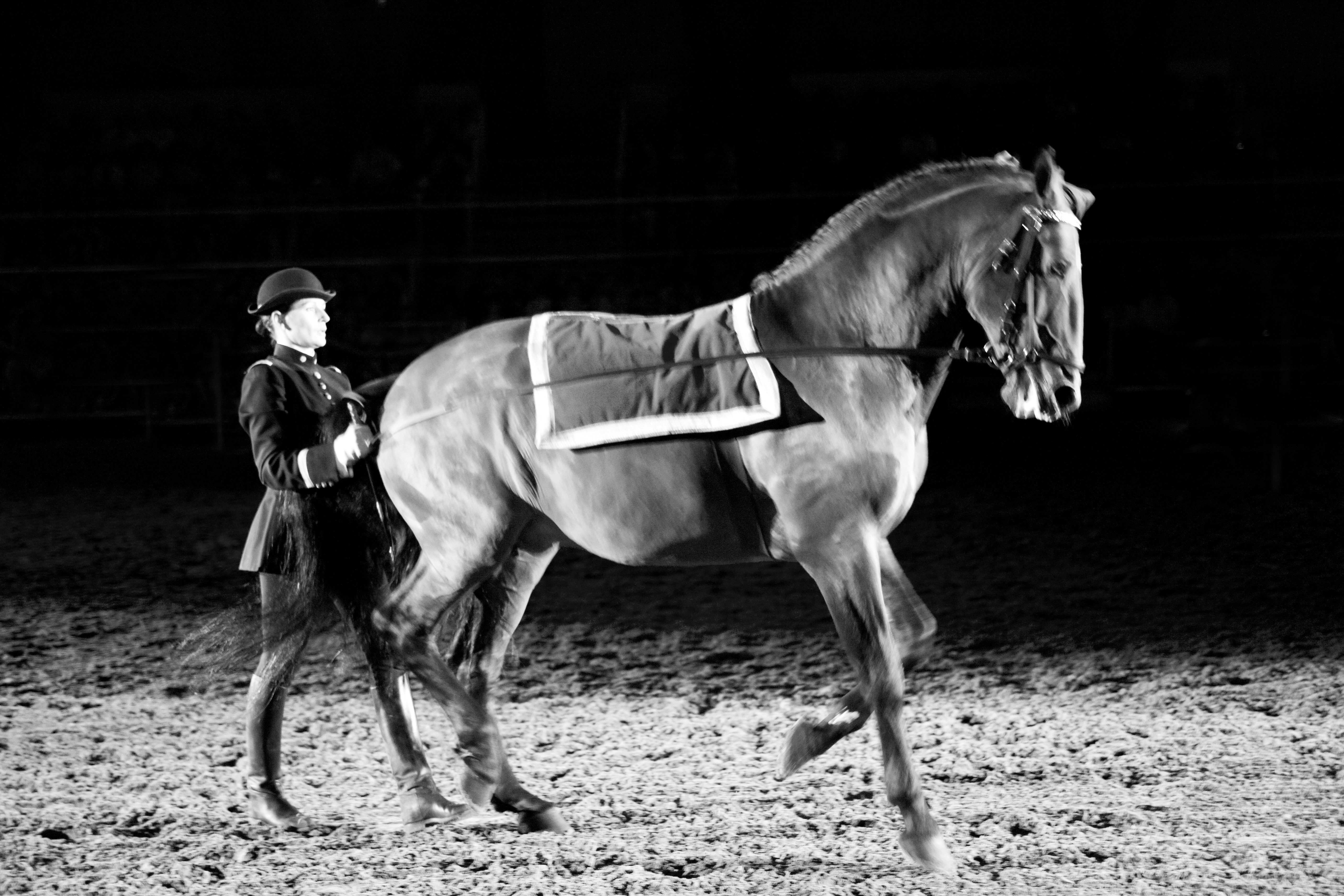 Remy Baudouin (@philmouss) | Comunidad de fotos de Unsplash