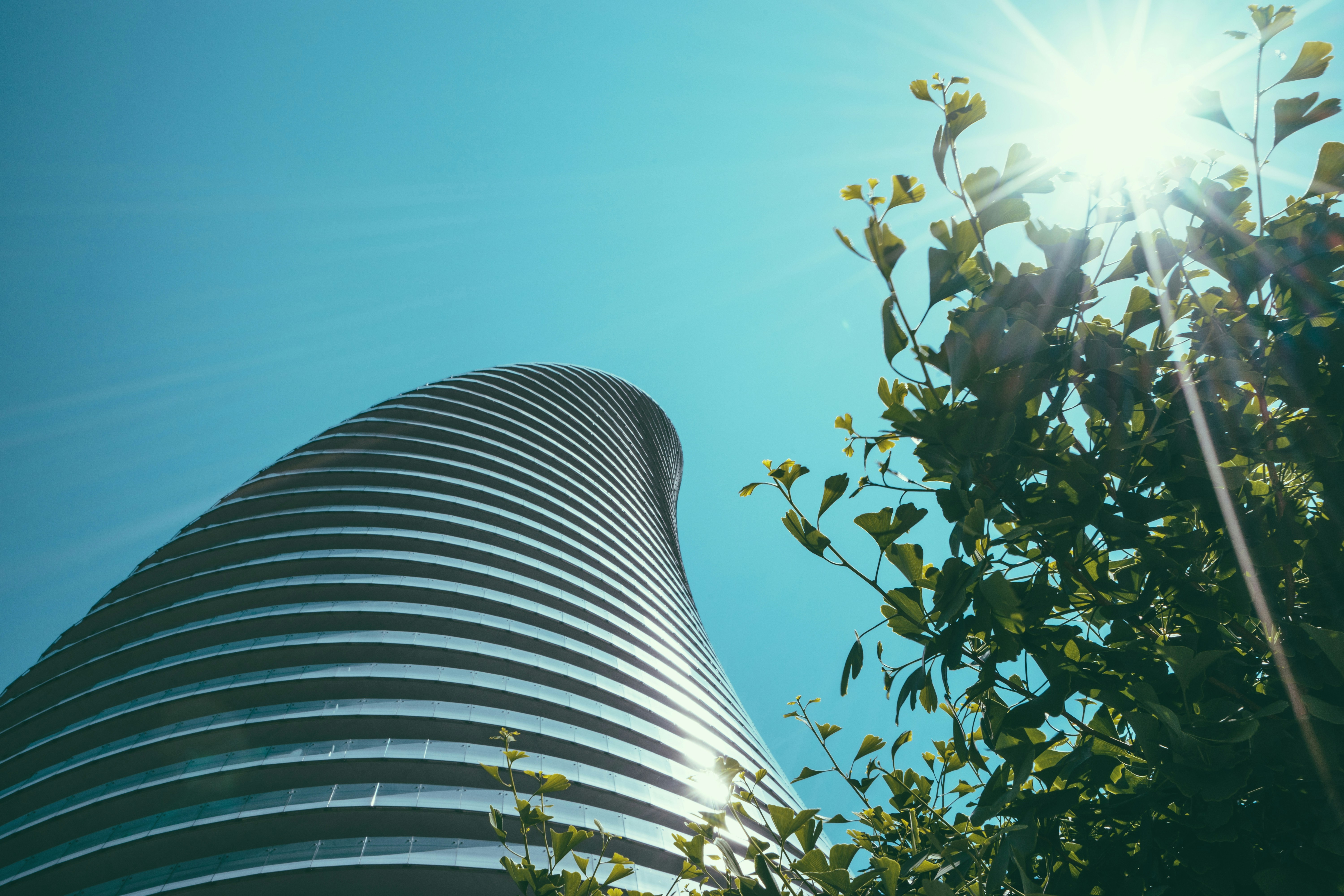 A sleek, spiraling architectural structure rises into a bright blue sky, framed by lush green foliage. Sunlight glimmers in the upper corner.