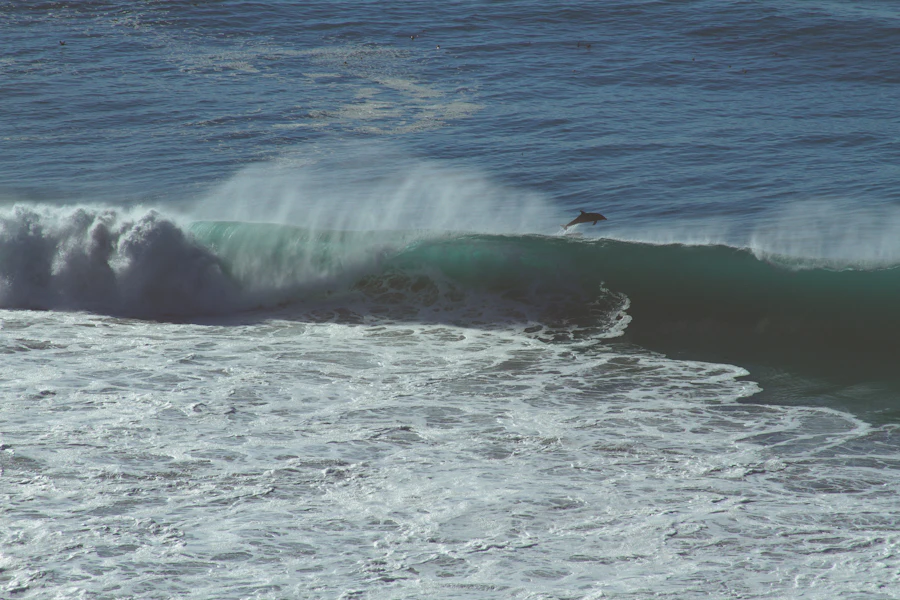 A lone surfer skillfully rides a massive wave, showcasing the power of the ocean against a backdrop of rolling surf.