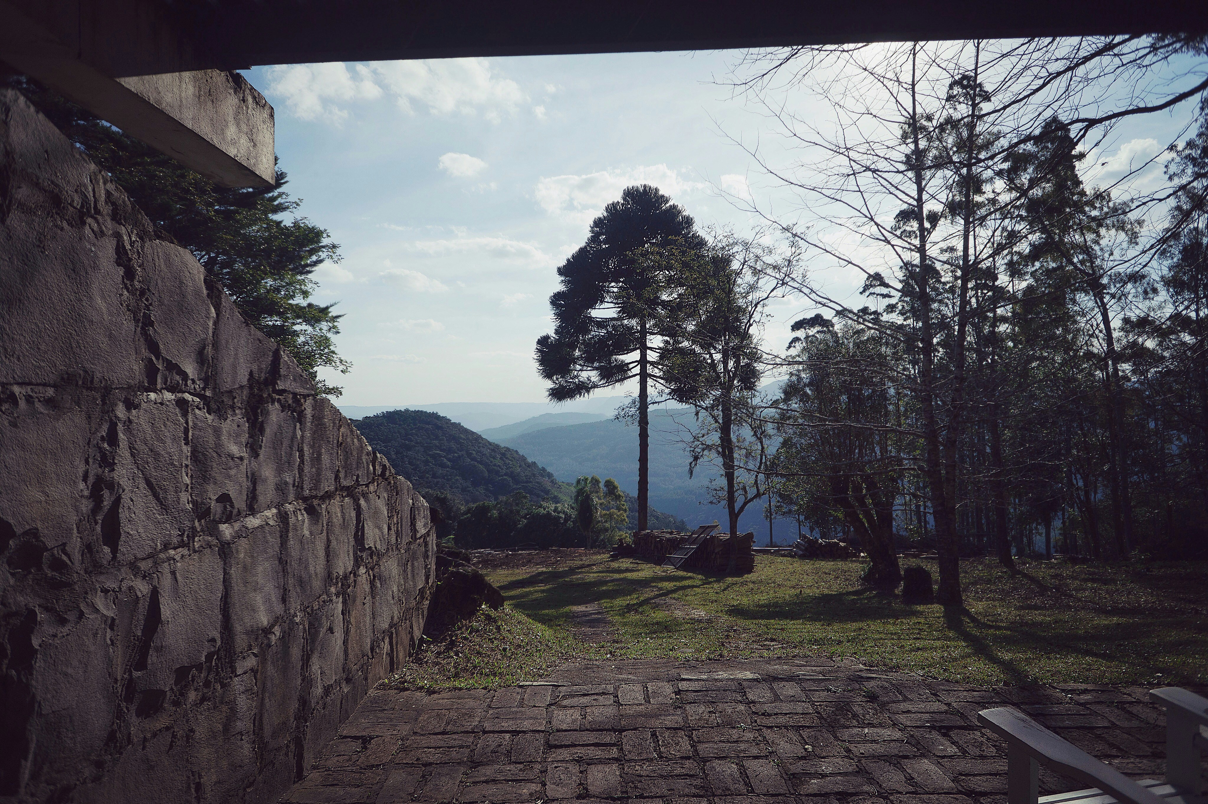 Jaime Spaniol (@jaimespaniol) | Unsplash Photo Community