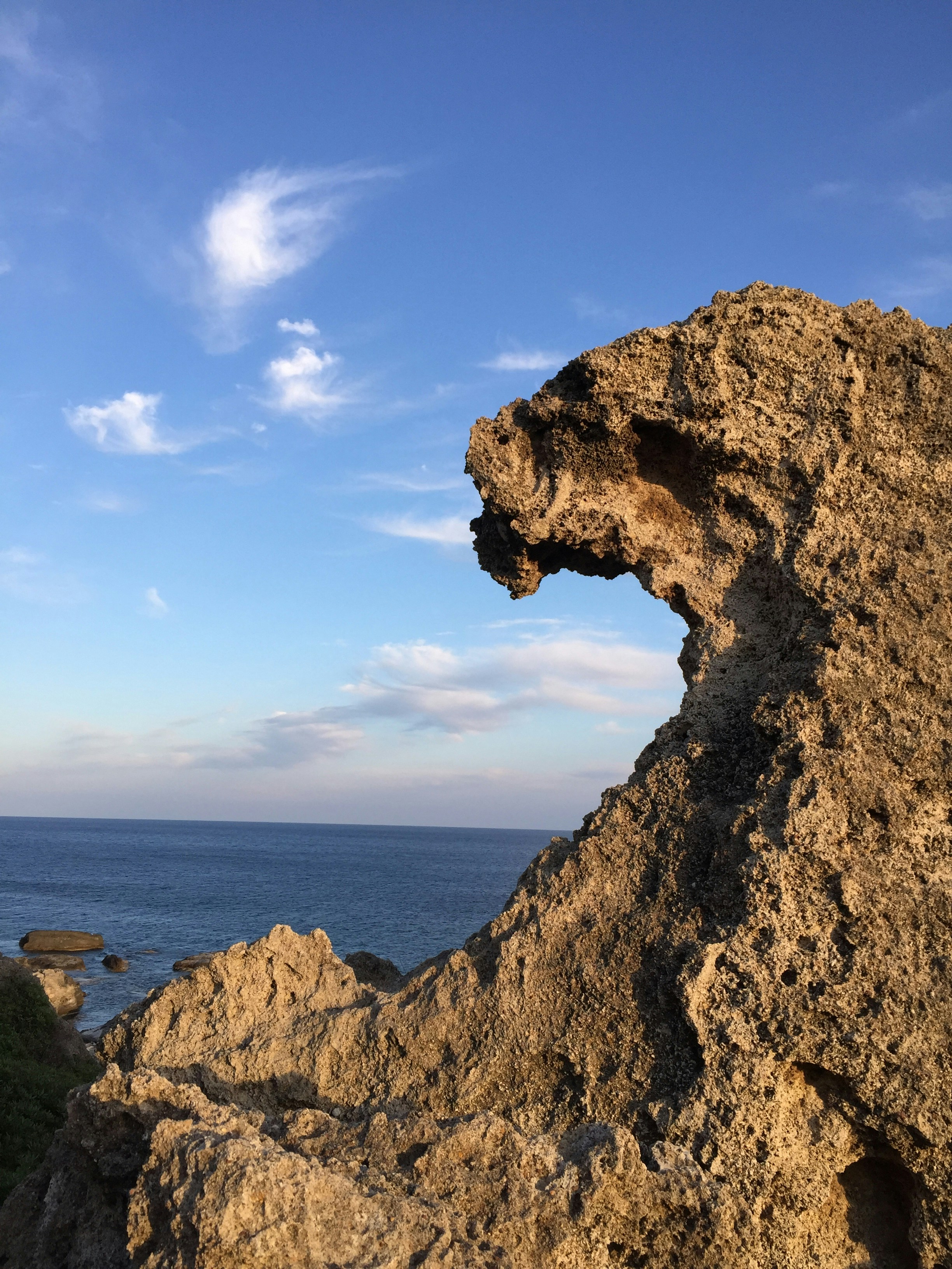 Mia de Neergaard (@miamagic) | Komunitas Foto Unsplash