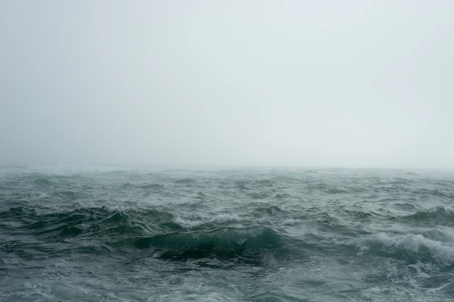 Choppy gray-green ocean waves roll beneath a dense fog bank, with the horizon nearly swallowed by mist.