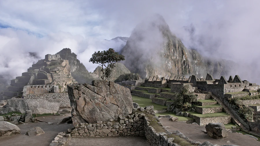 Ancient stone terraces and ruins at Machu Picchu with a lone tree in the foreground and mist wrapping the mountain peaks. Soft clouds drift through the dramatic Andean landscape.