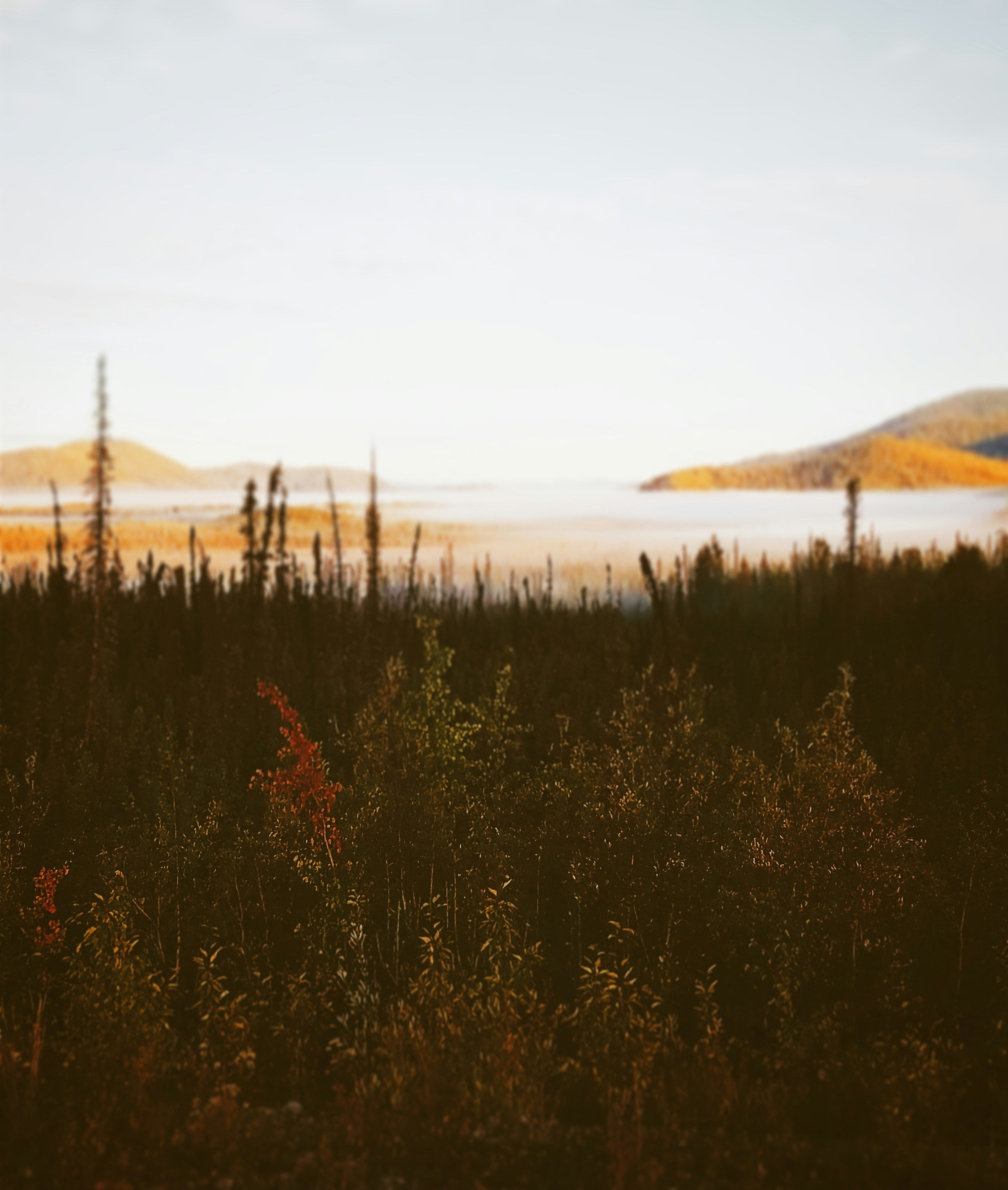 Jeremy Gallman (@jeremyfilm) | Unsplash Photo Community