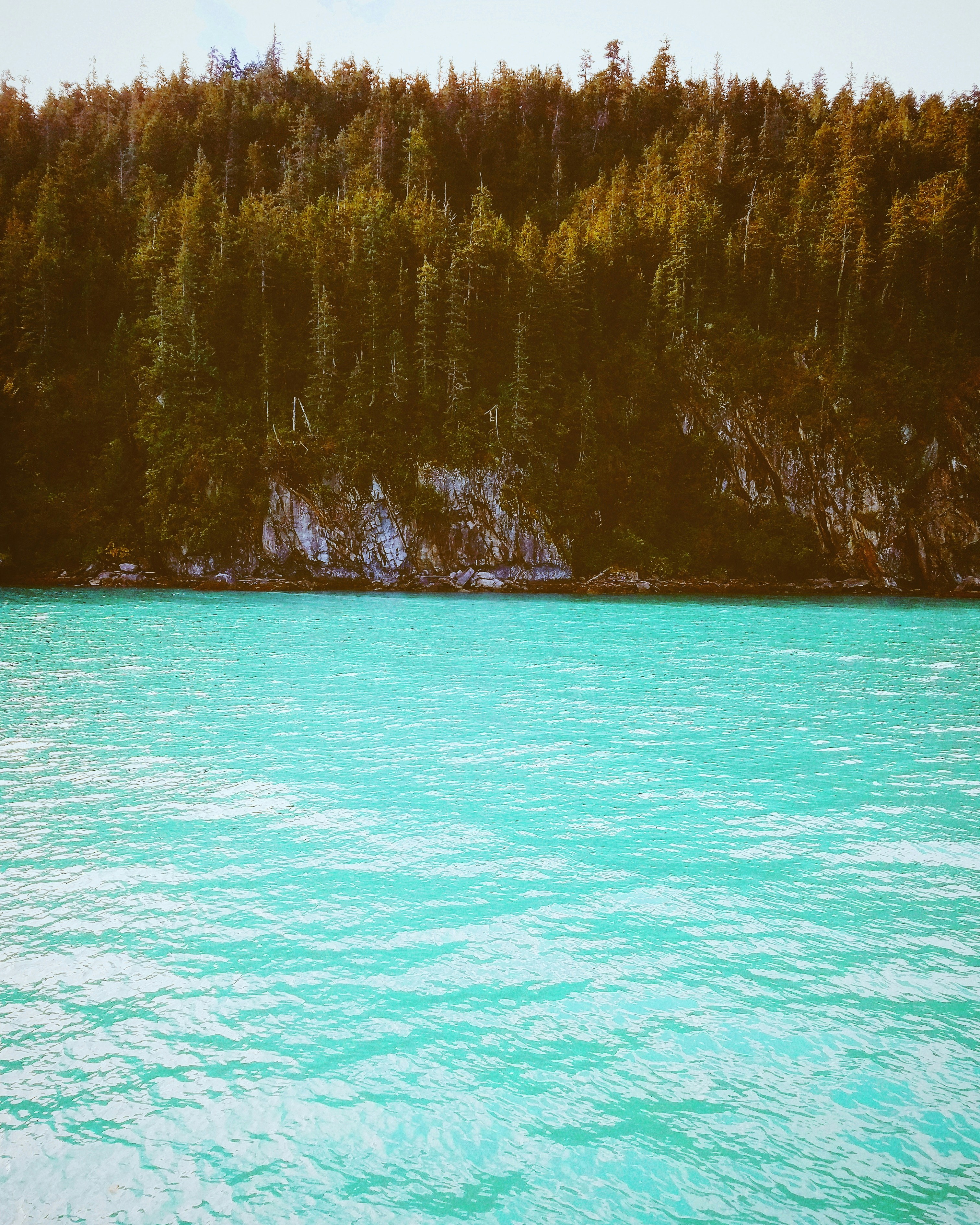 Jeremy Gallman (@jeremyfilm) | Unsplash Photo Community