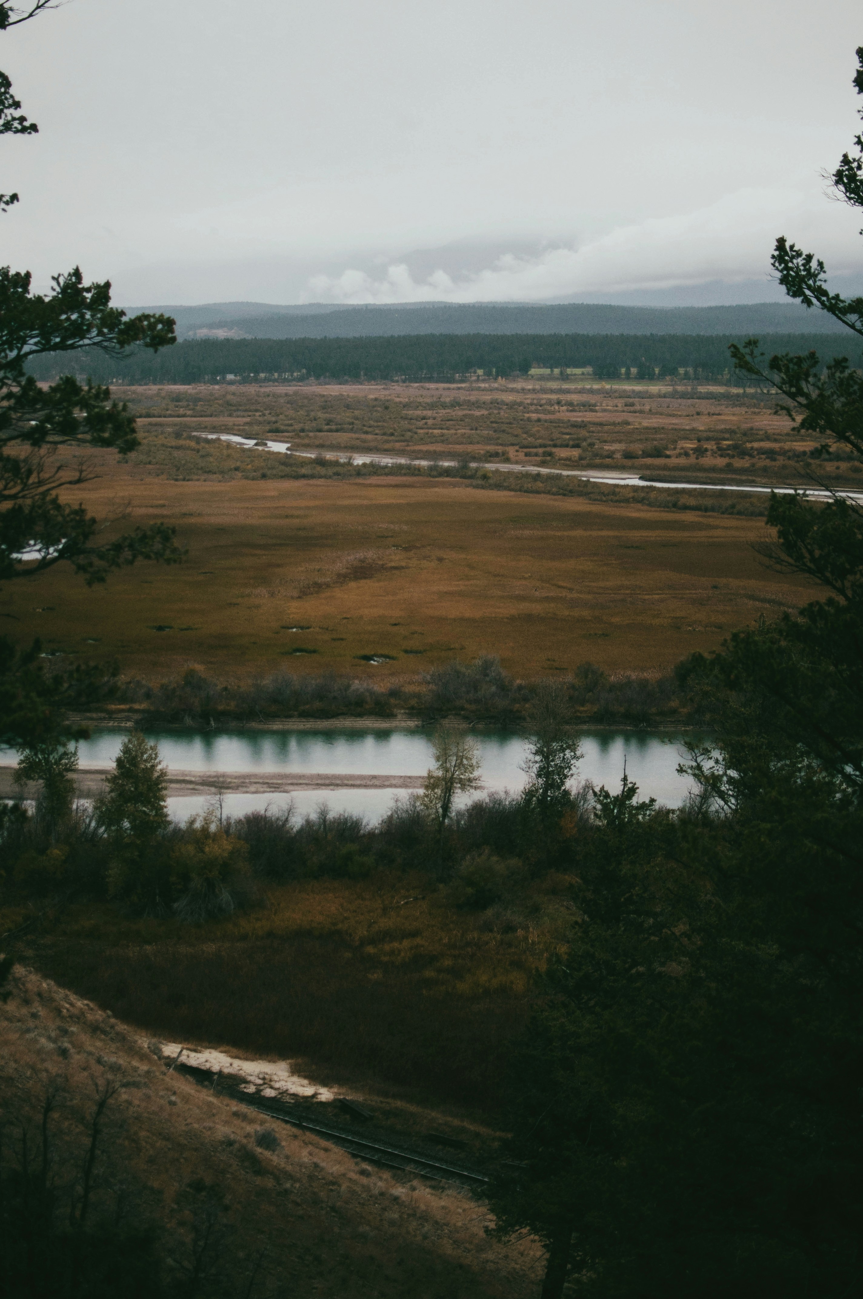 Définition de radium | Dictionnaire français