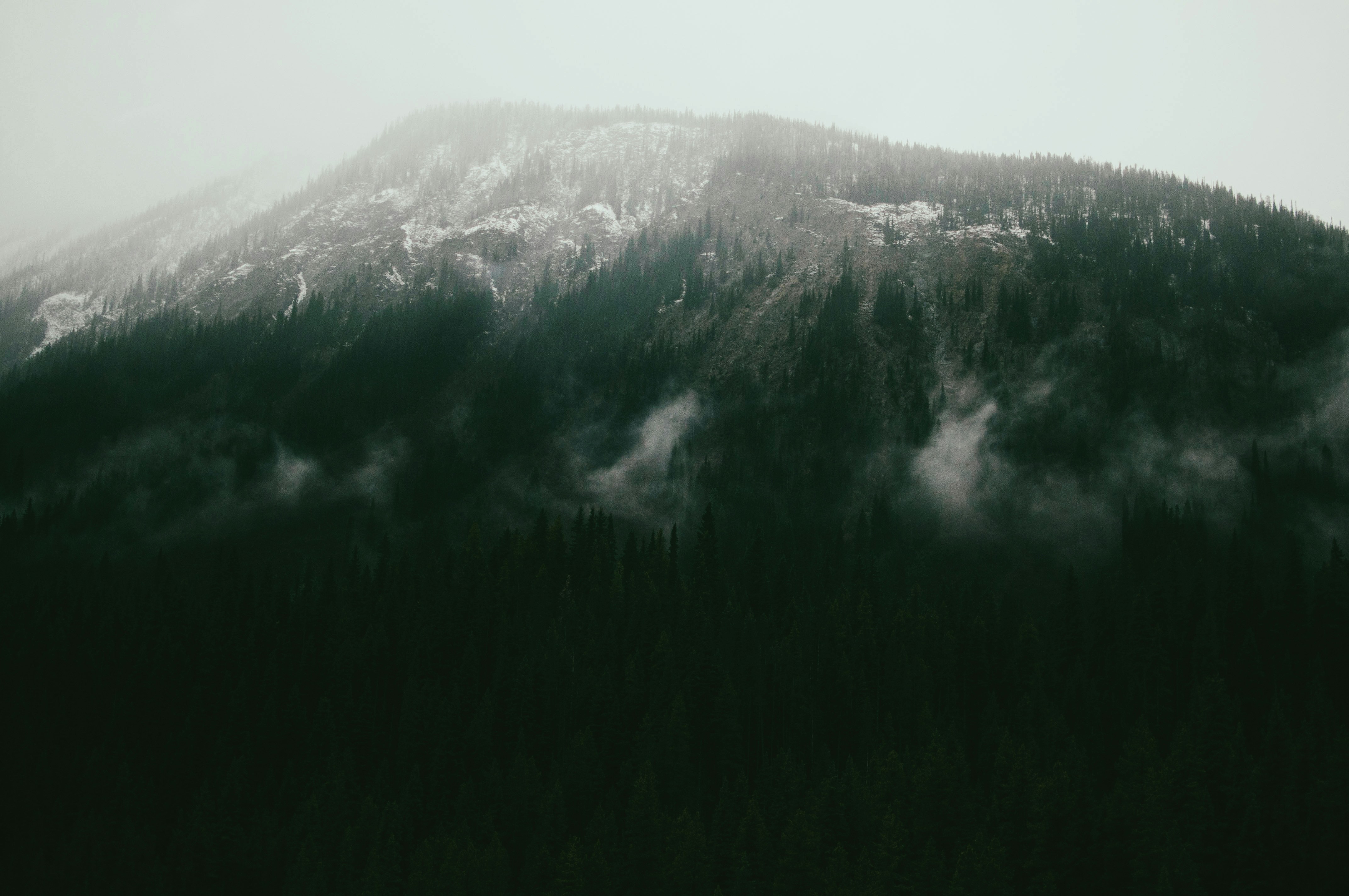 Misty mountain landscape enveloped in fog, showcasing a dense forest at its base and a snow-dusted peak. A serene yet mysterious atmosphere permeates the scene.