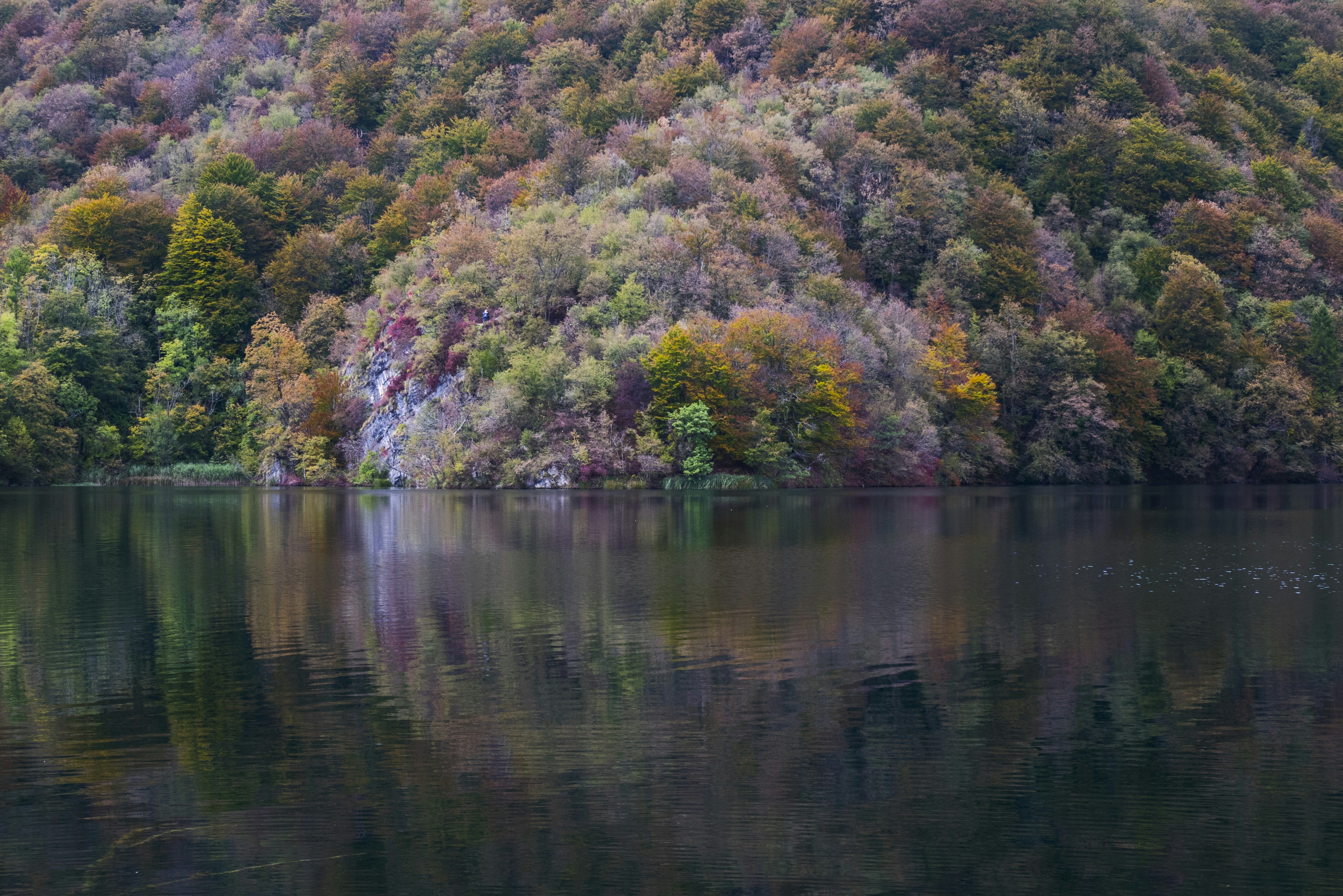 Vibrant autumn foliage mirrored in the calm waters of a tranquil lake, showcasing the seasonal transition. The lush greenery and colorful leaves create a harmonious landscape.