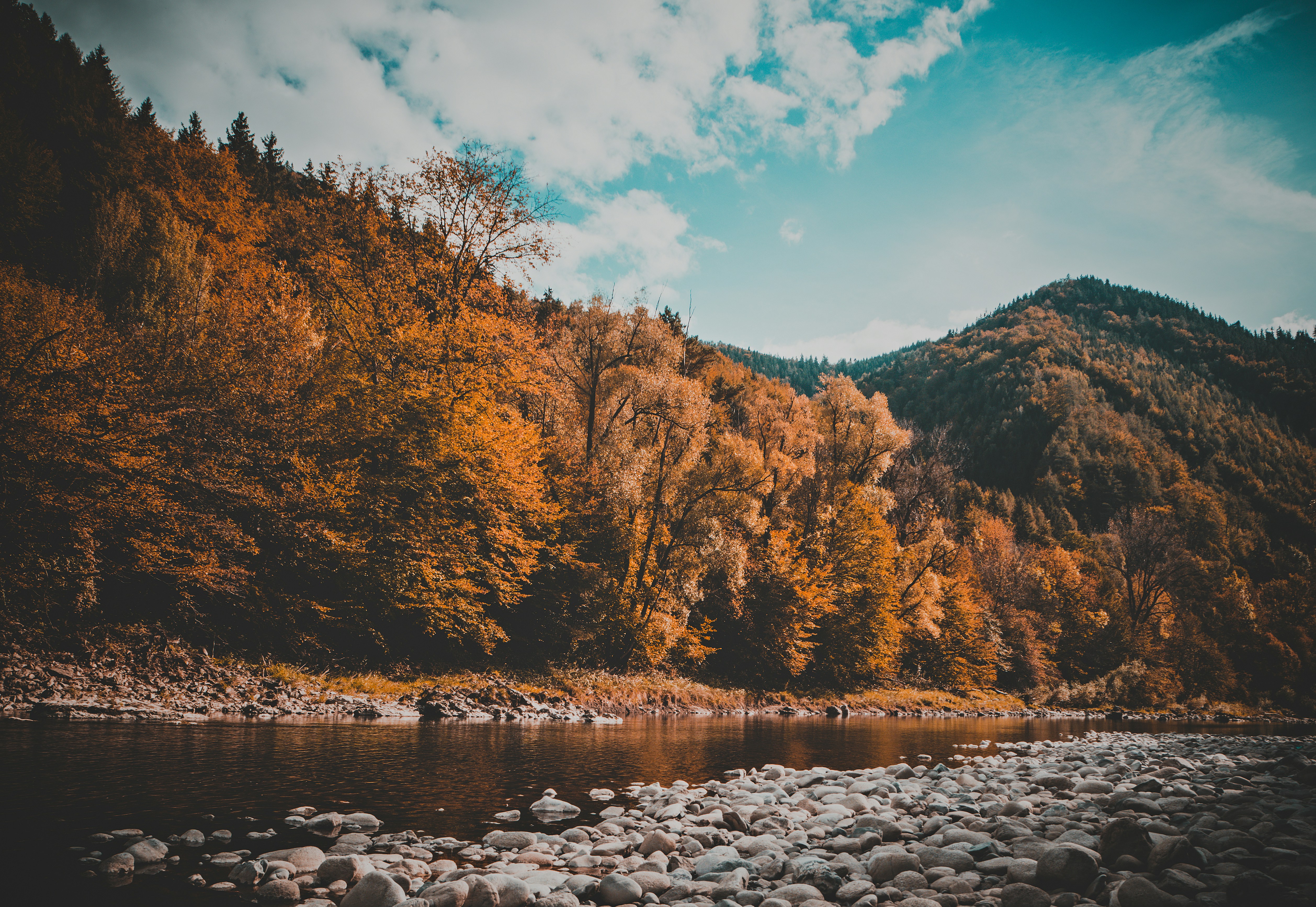 Ju On (@juon) | Unsplash Photo Community