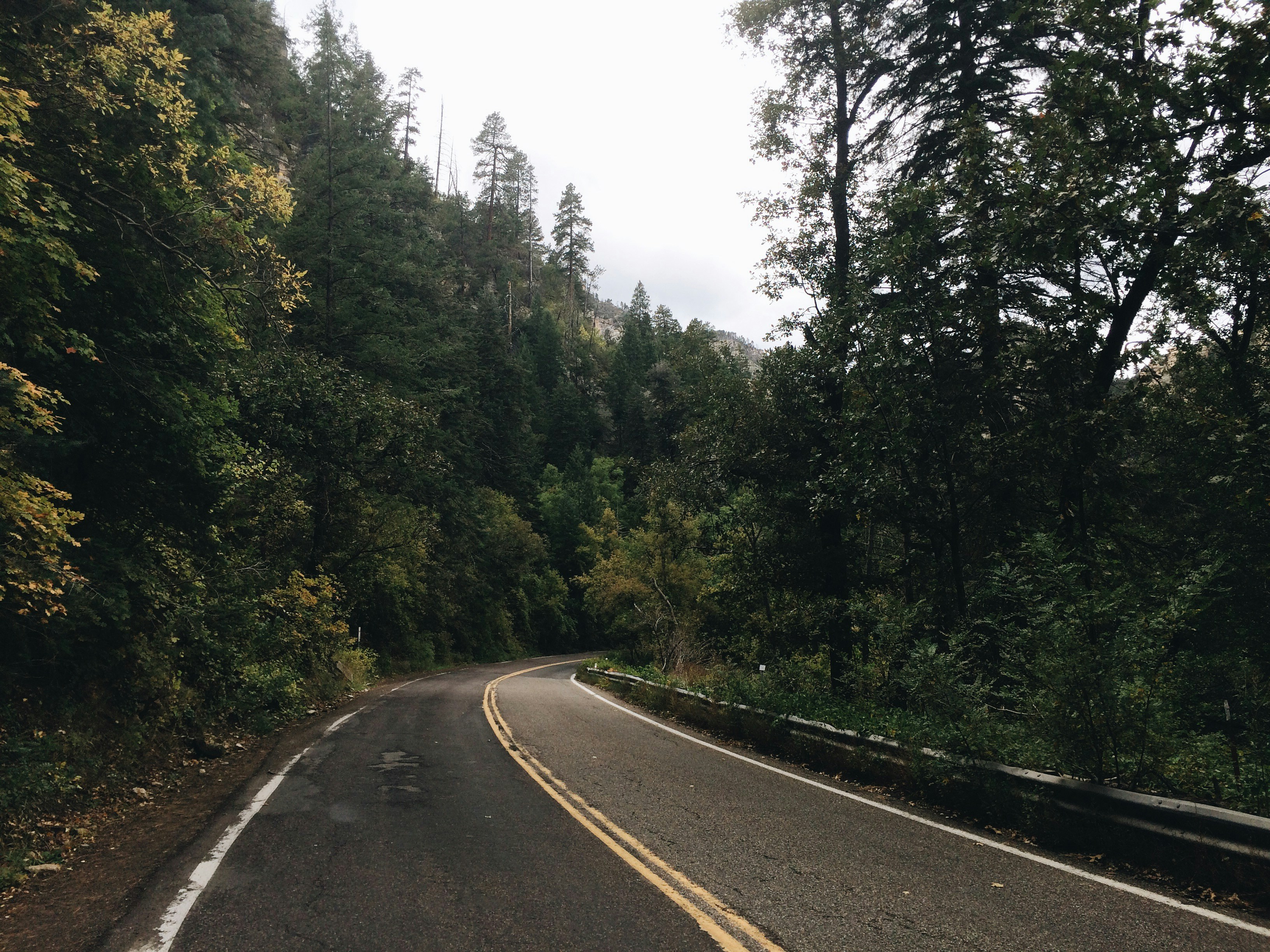 Outdoors | 3 best free outdoor, tree, greenery and hike photos on Unsplash