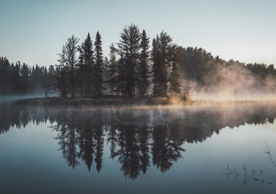 Wooded lake island | lake under blue sky during daytime