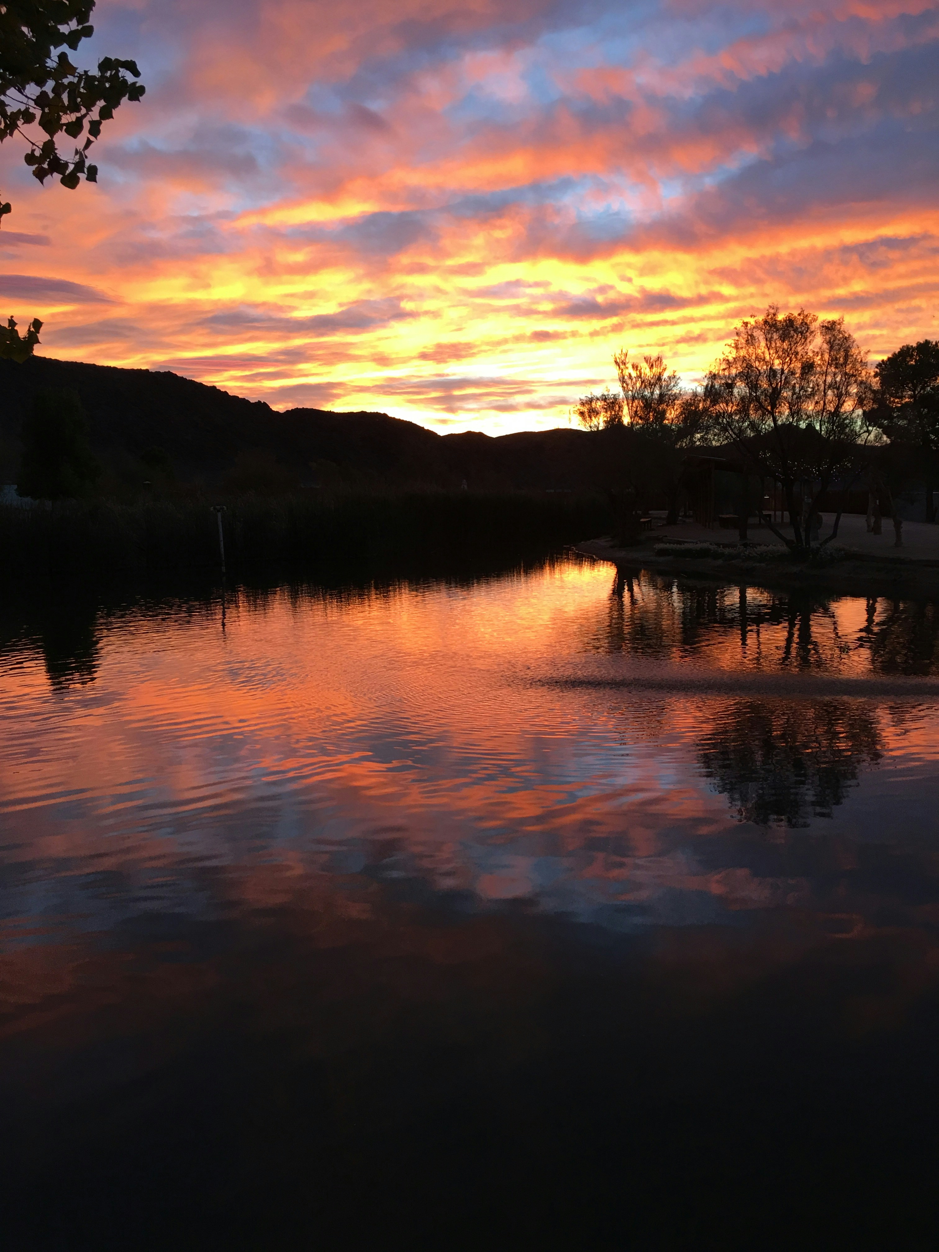 Mindi Muzzarelli (@mindi) | Unsplash 사진 커뮤니티