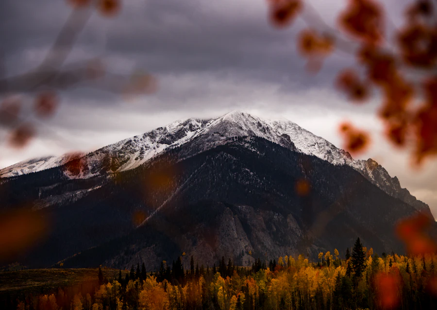 Snow-capped mountain rising above a dark forest of autumn trees, framed by blurred orange leaves in the foreground under a cloudy sky.