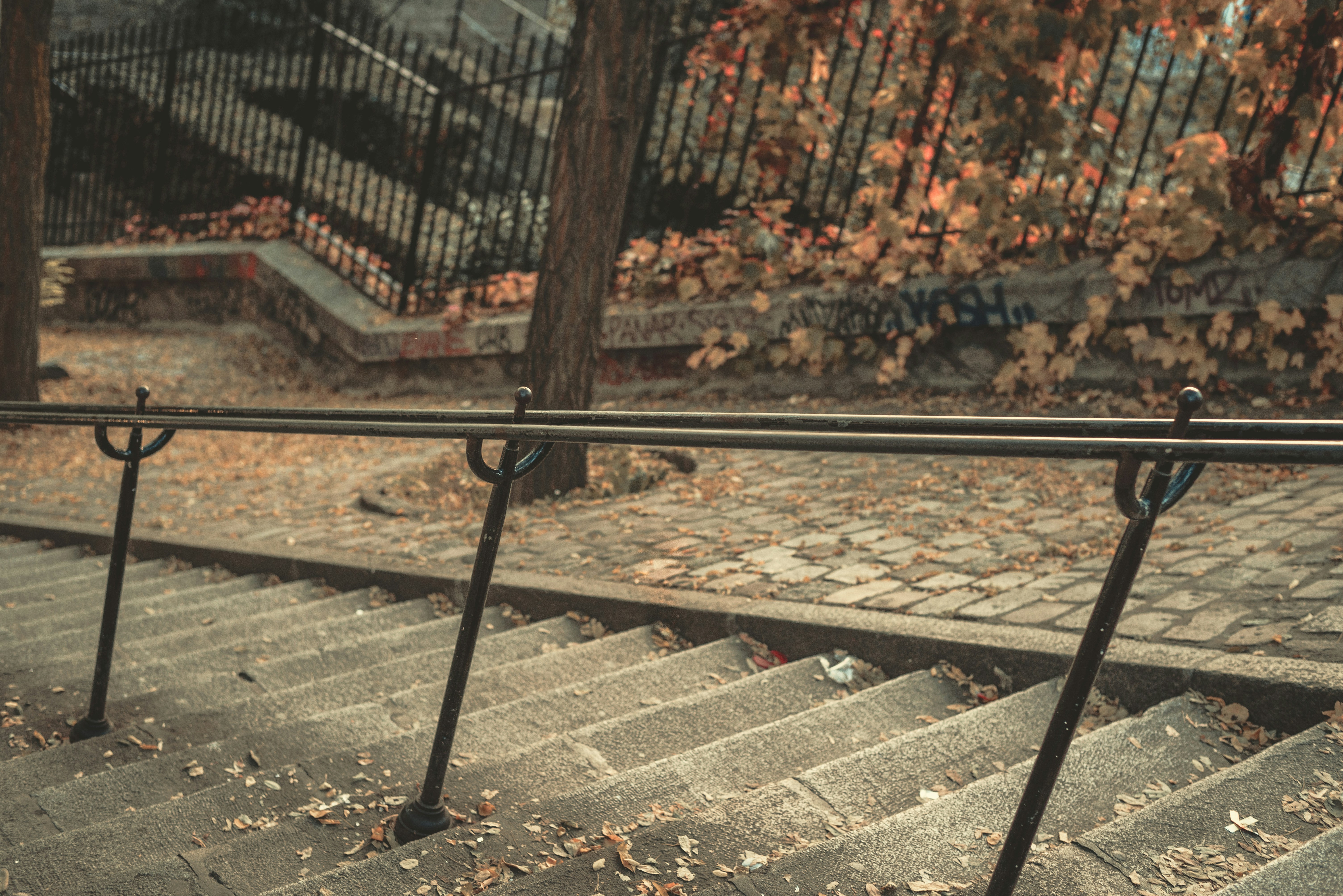 Leaf-covered stone steps bordered by iron railings and autumn foliage.