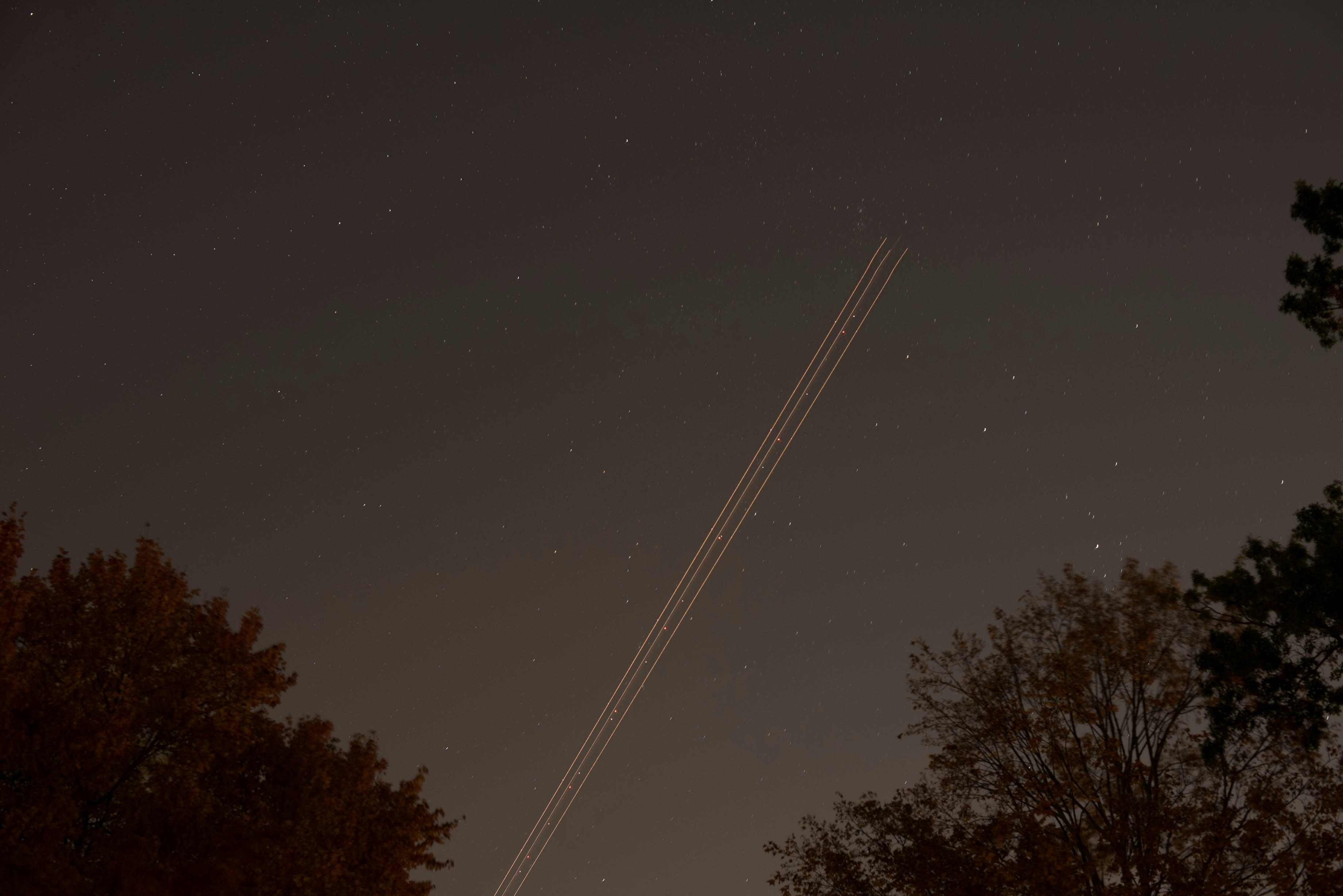 Starry night sky with trees silhouetted and a long-exposure trail of light across the horizon.