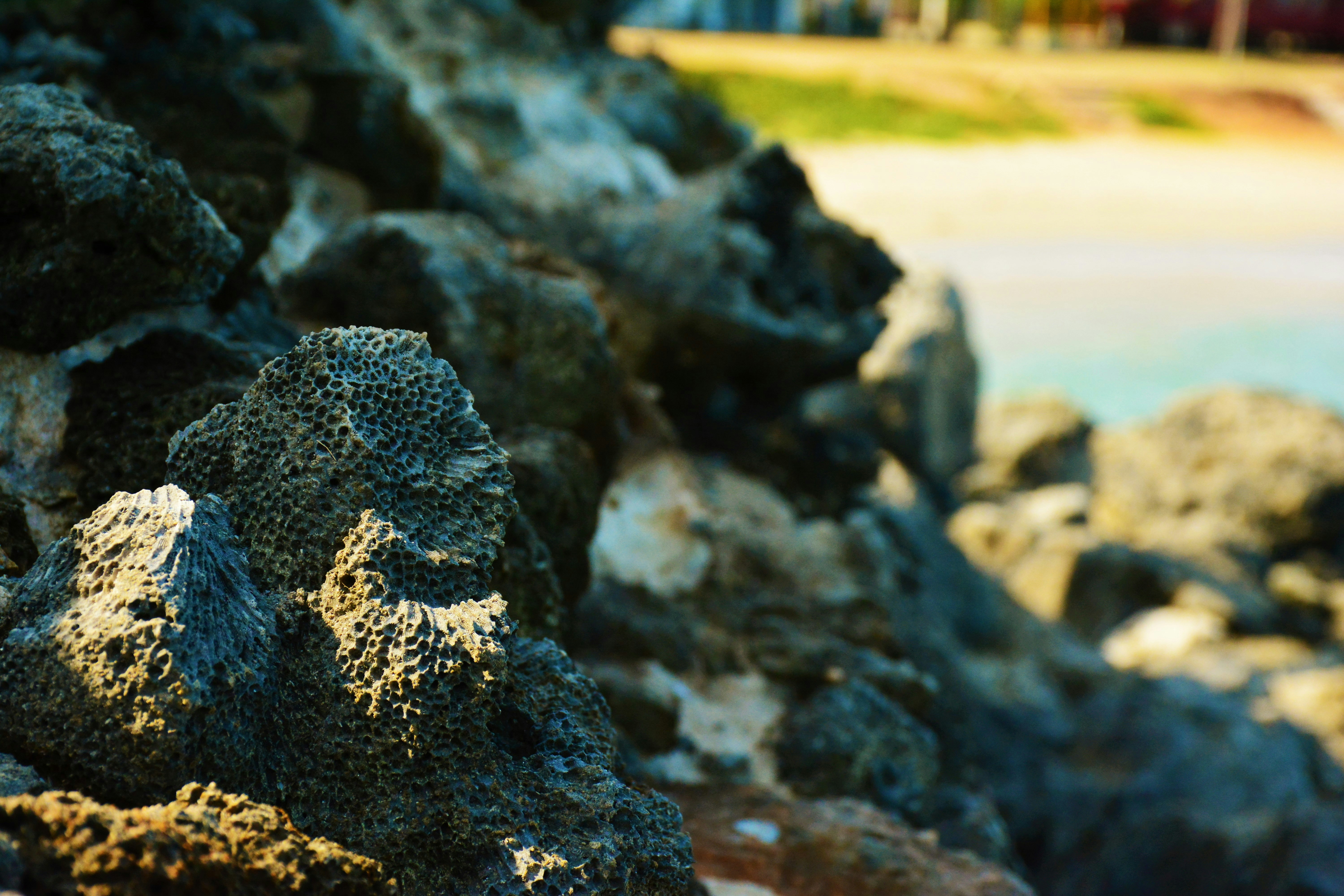 Roshen Perera (@roshenrp) | Unsplash Photo Community