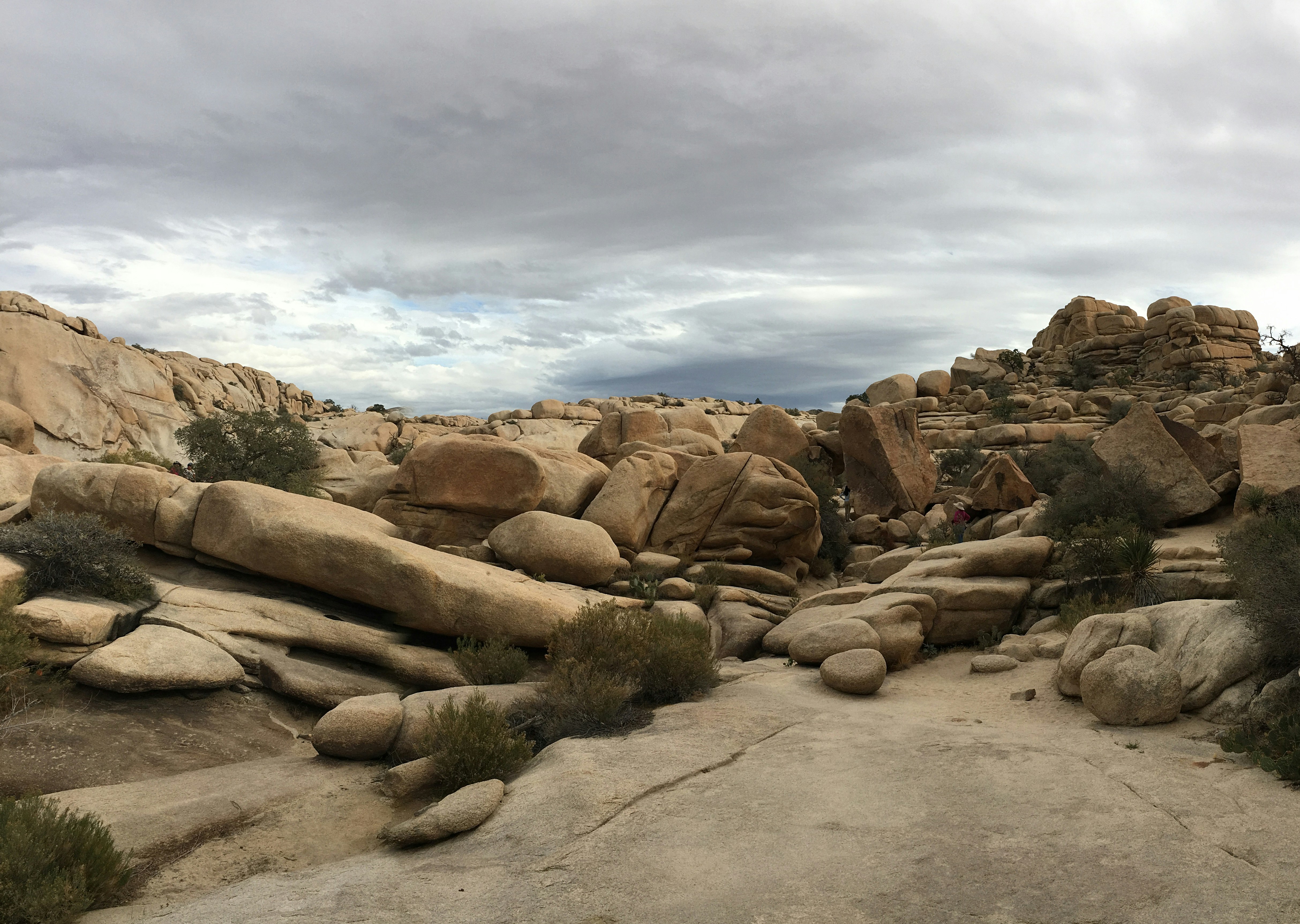 Hilary Hahn (@hilarylhahn) | Komunitas Foto Unsplash