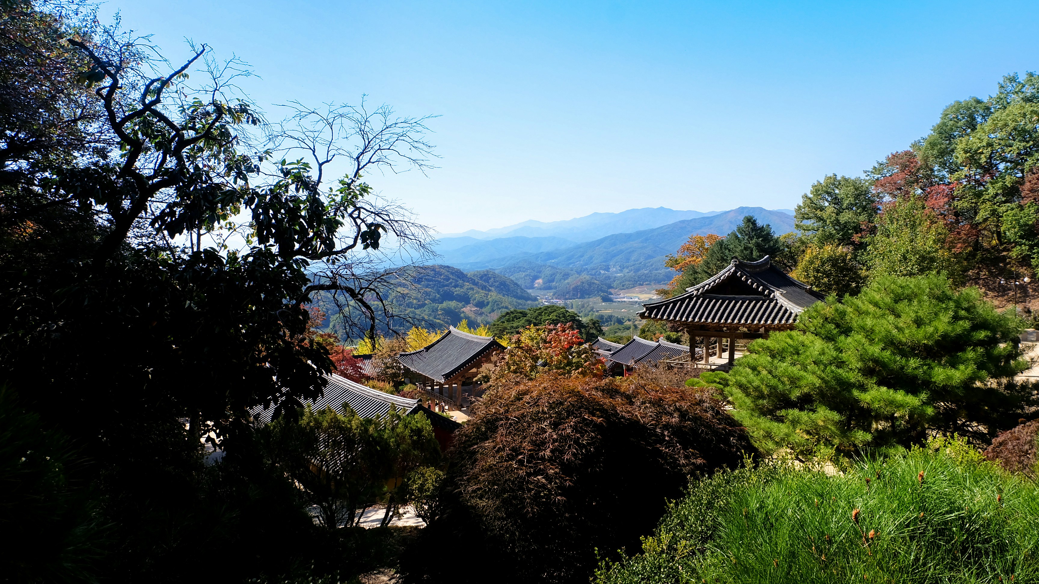 Buseoksa Temple nestled among vibrant autumn foliage with distant mountains under a clear blue sky.